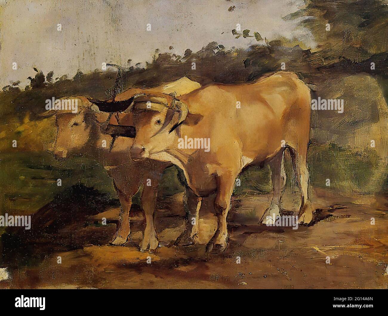 Toulouse-Lautrec - Two Bulls Wearing Yoke 1881 Stock Photo - Alamy