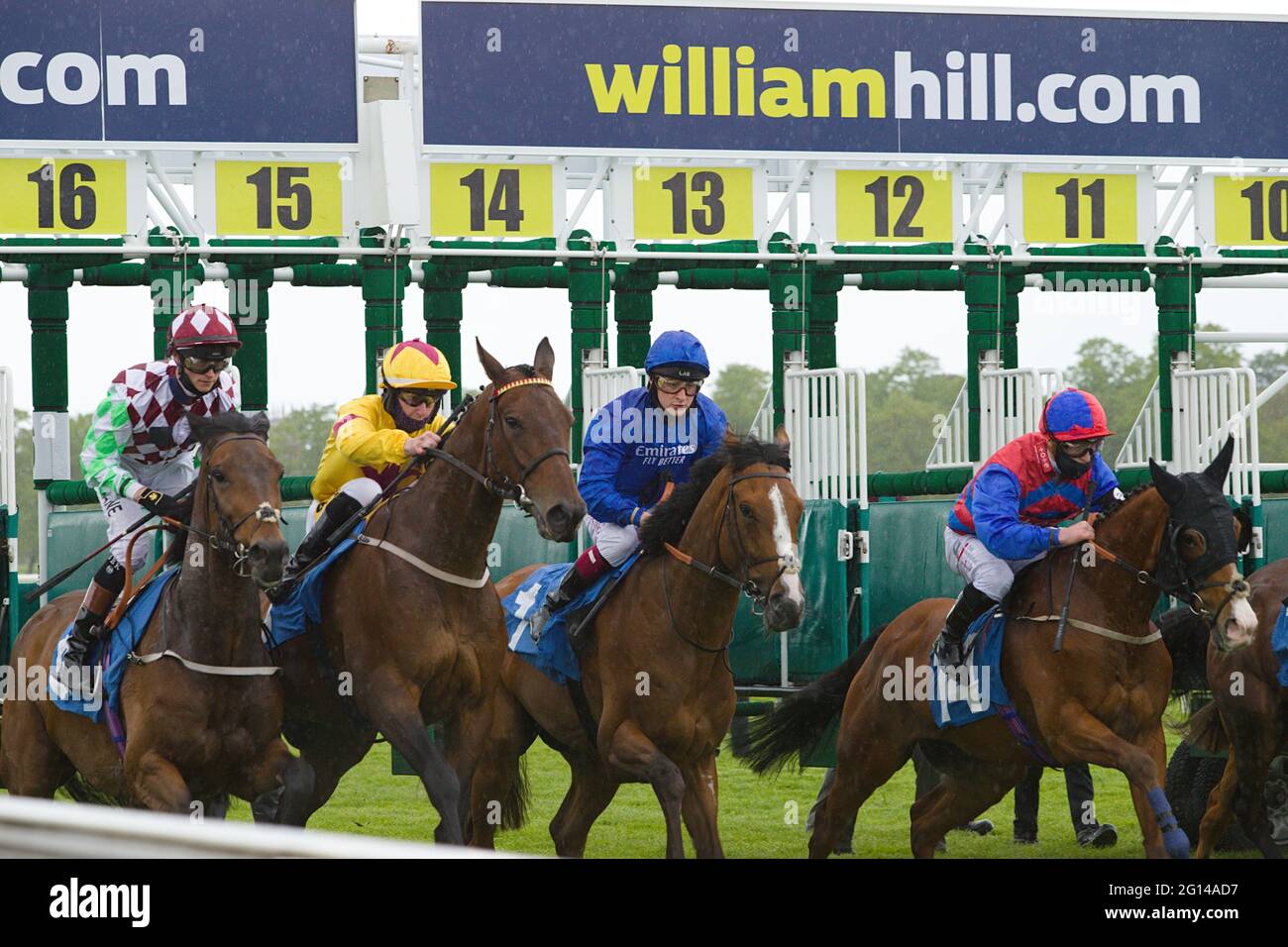 Horse race start gate william hill hi-res stock photography and images ...