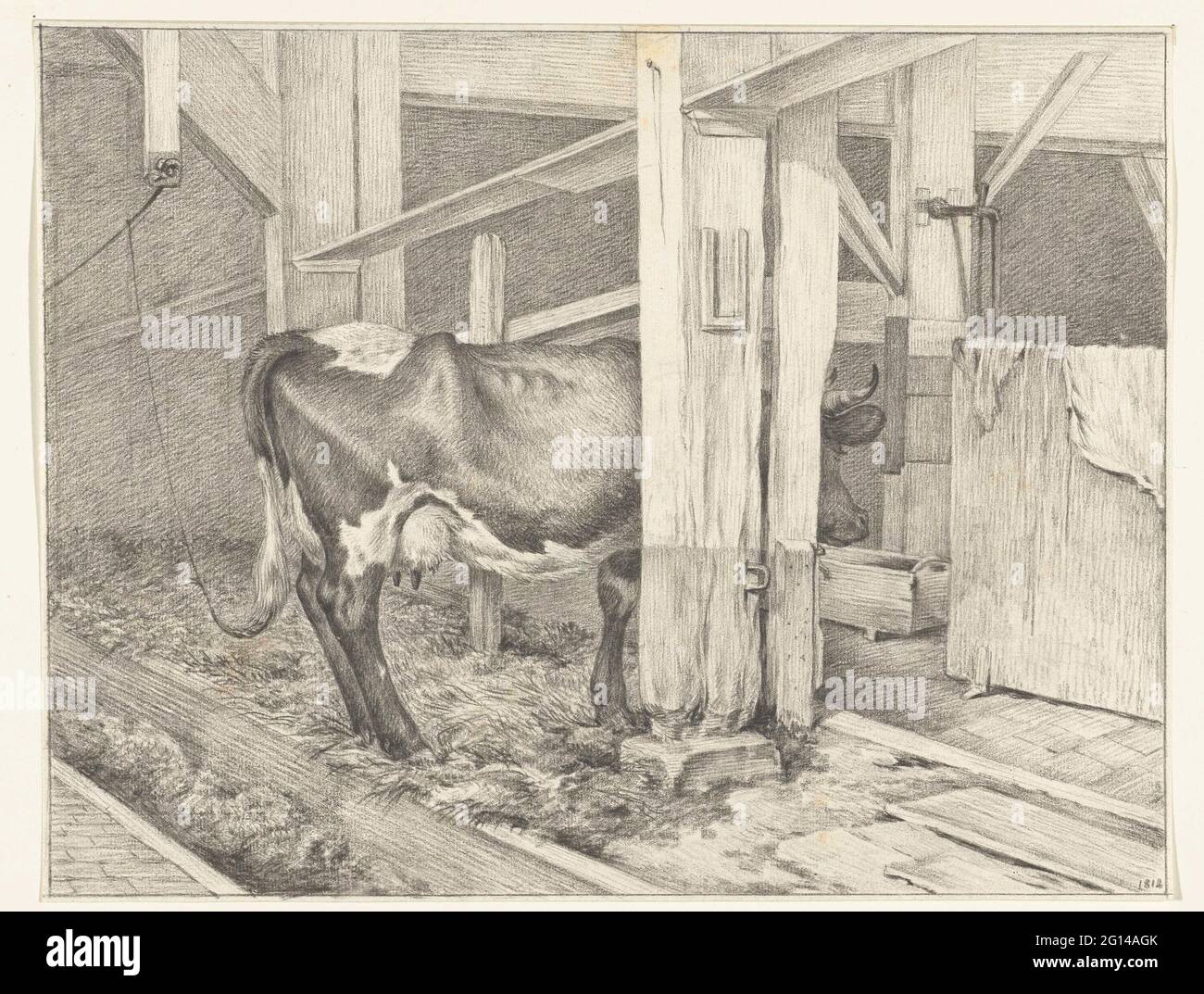 Standing cow in a stable, right Stock Photo - Alamy