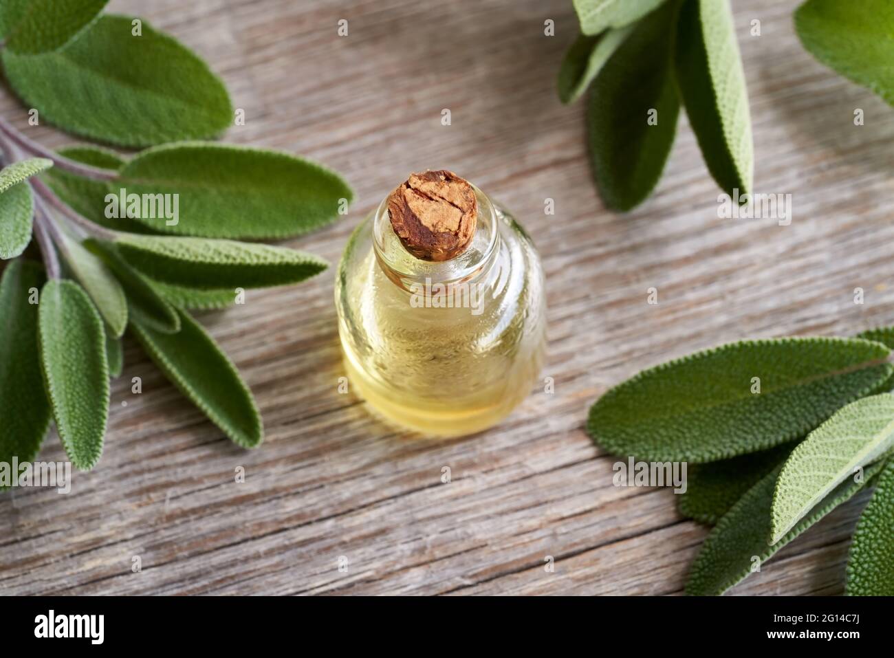 Oil of sage hi-res stock photography and images - Alamy