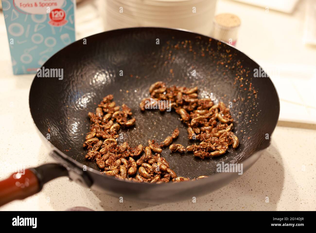 Bloomington, United States. 27th May, 2021. Cicadas on a Skewer are ...