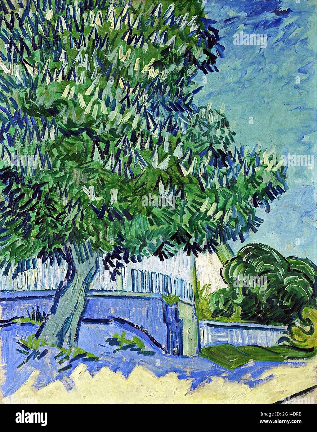 Vincent Van Gogh - Blossoming Chestnut Trees Stock Photo - Alamy