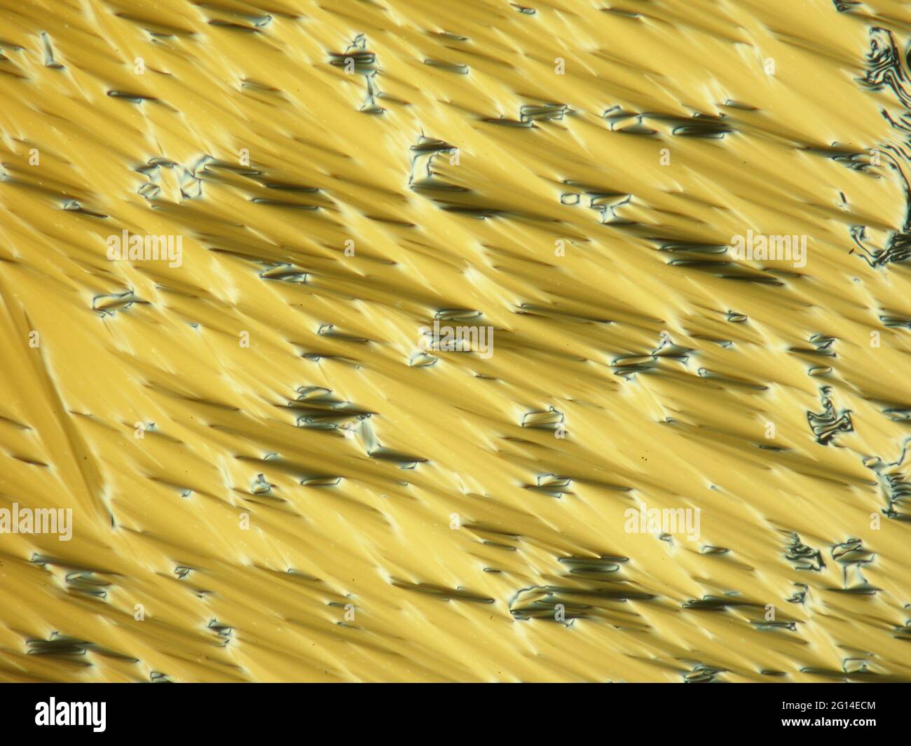 Yellow Liquid crystal under polarized light microscope Stock Photo - Alamy