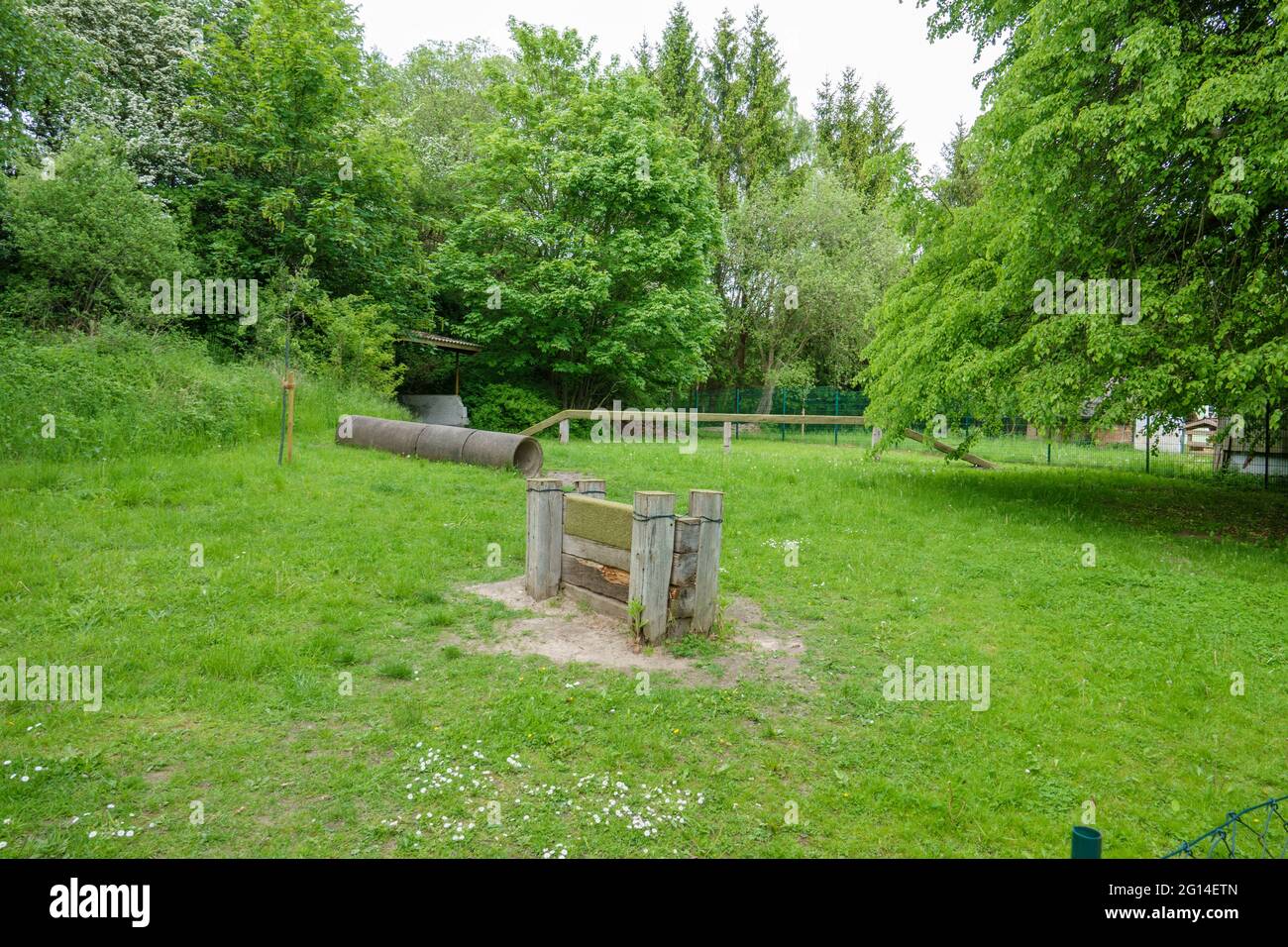 on a dog playground are built obstacles for dogs Stock Photo - Alamy
