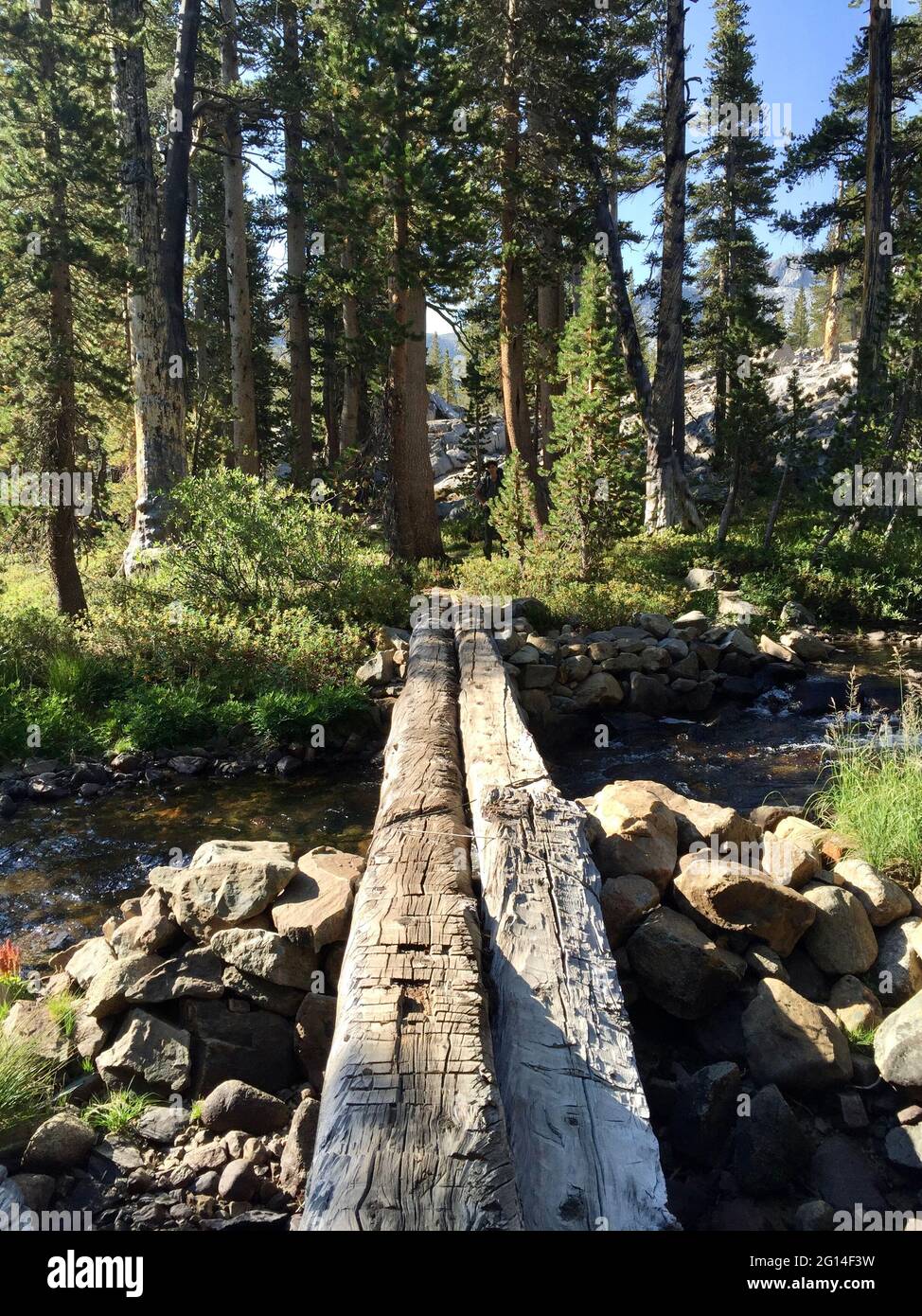 log foot bridge along the trail in the mountains Stock Photo - Alamy