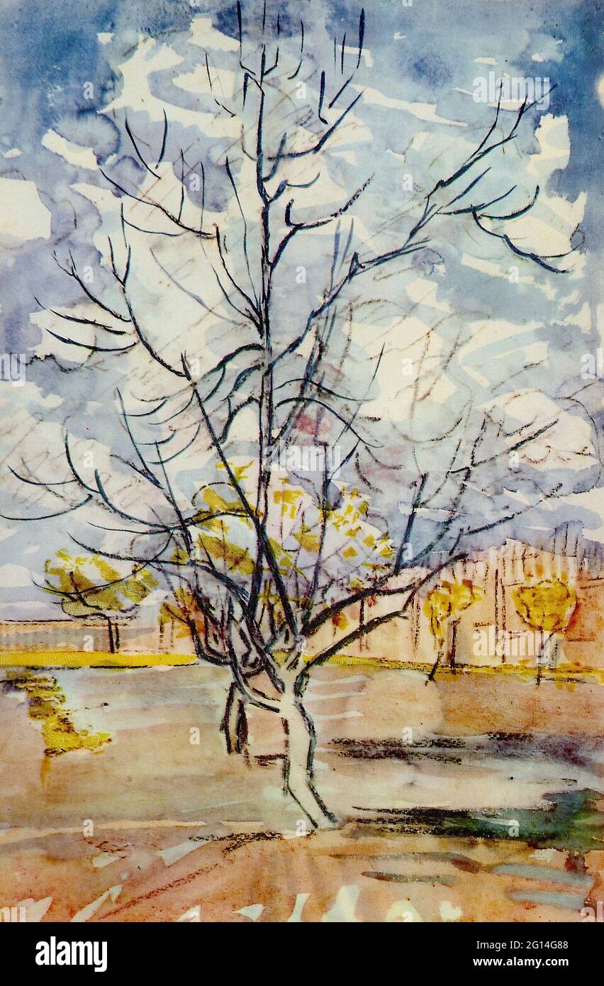 Vincent Van Gogh - Pink Peach Trees 1888 Stock Photo - Alamy