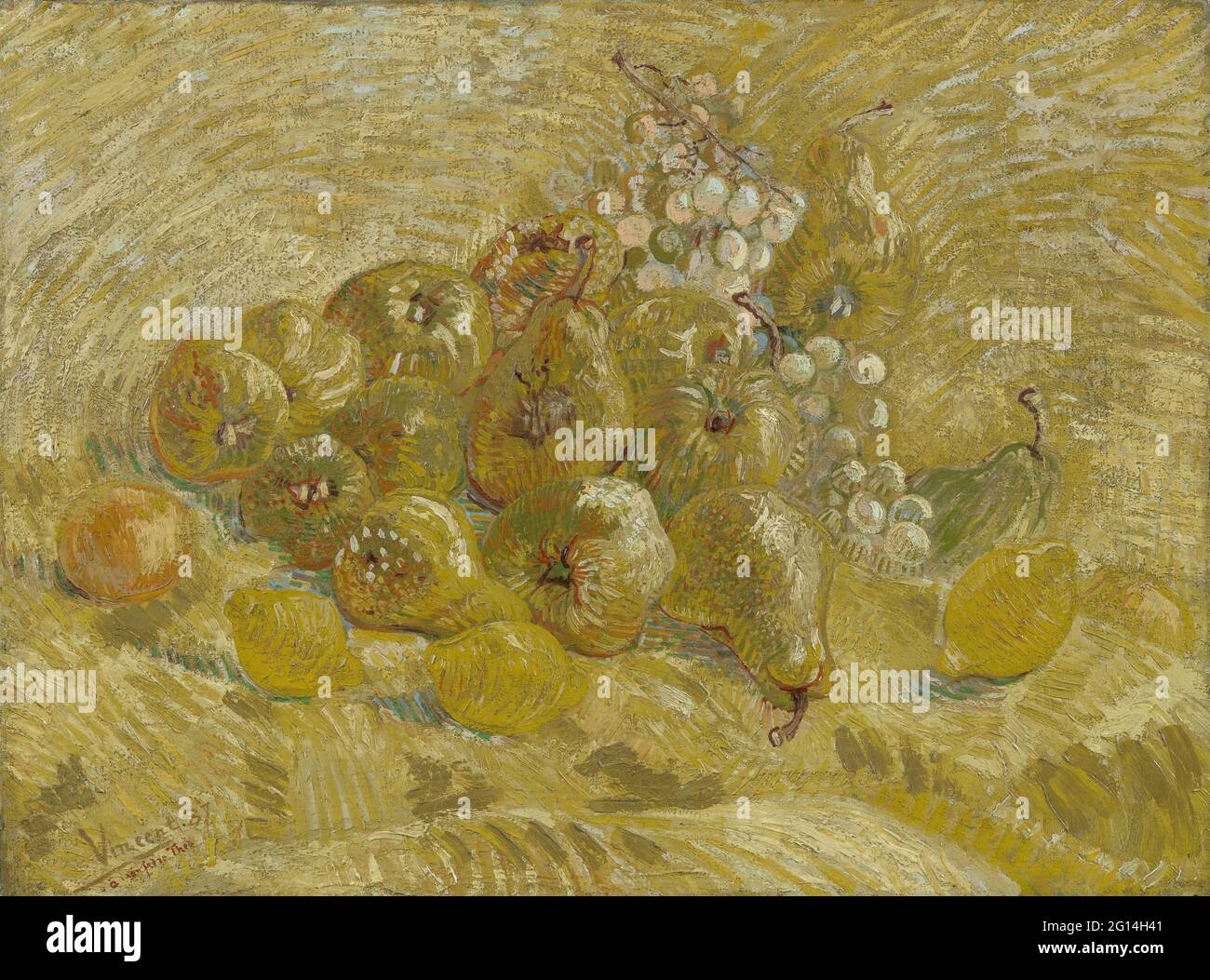 Vincent Van Gogh - Quinces Lemons Pears and Grapes Stock Photo - Alamy