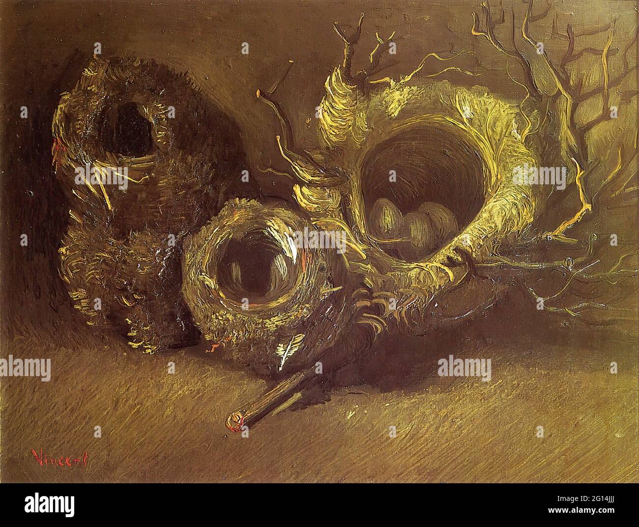 Three birds nests hi-res stock photography and images - Alamy