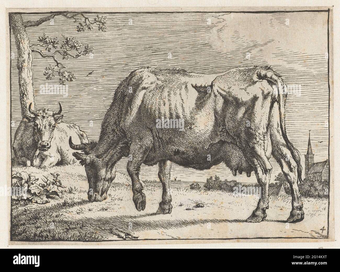 Grazing cow; The bull book Stock Photo - Alamy