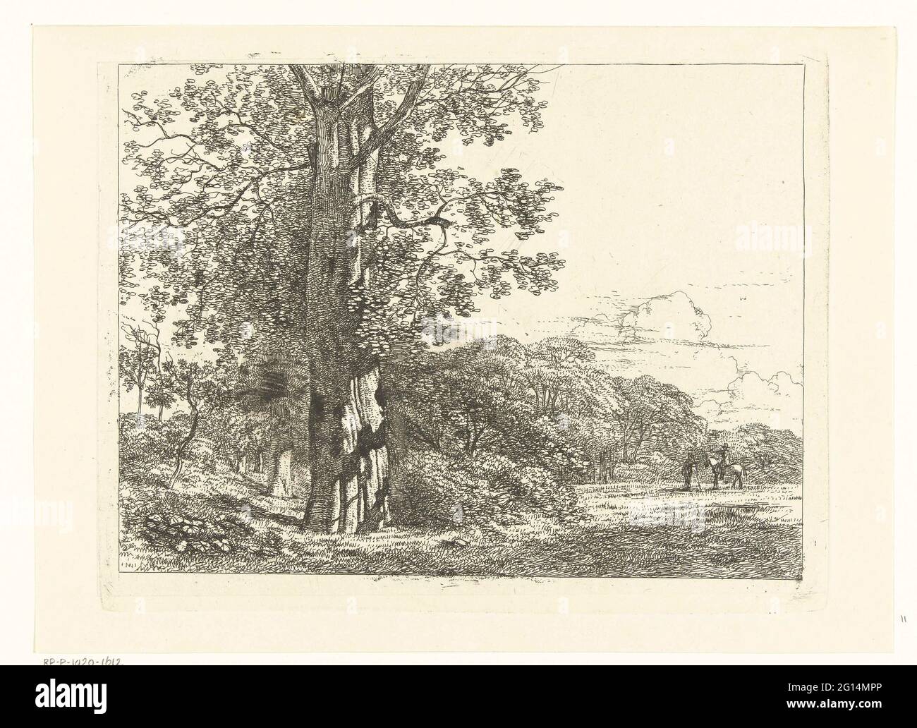 Landscape with big beech tree and rider in conversation with man Stock ...