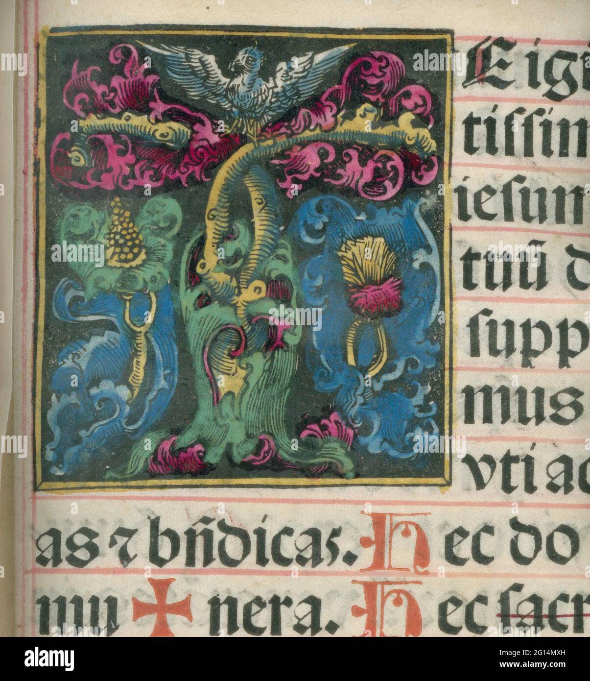 Initial t (zahl table) with owl and edge decoration. Initial t on which ...