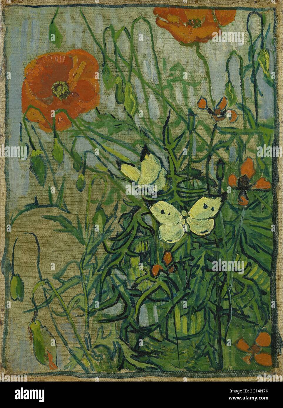 Vincent van Gogh - Butterflies and poppies Stock Photo - Alamy