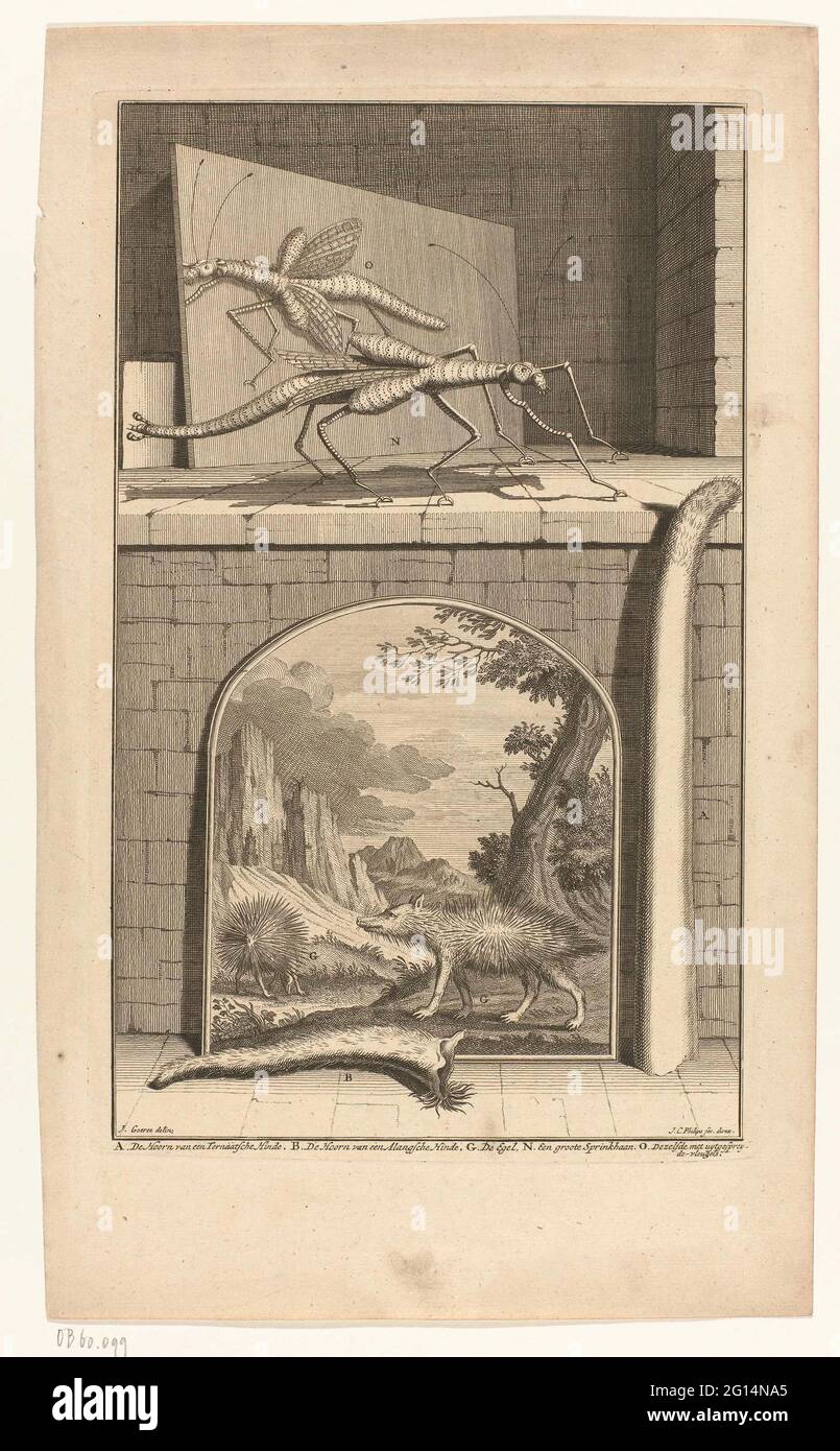 Leaf with horns, hedgehogs and insects. Leaf with horns, hedgehogs and ...