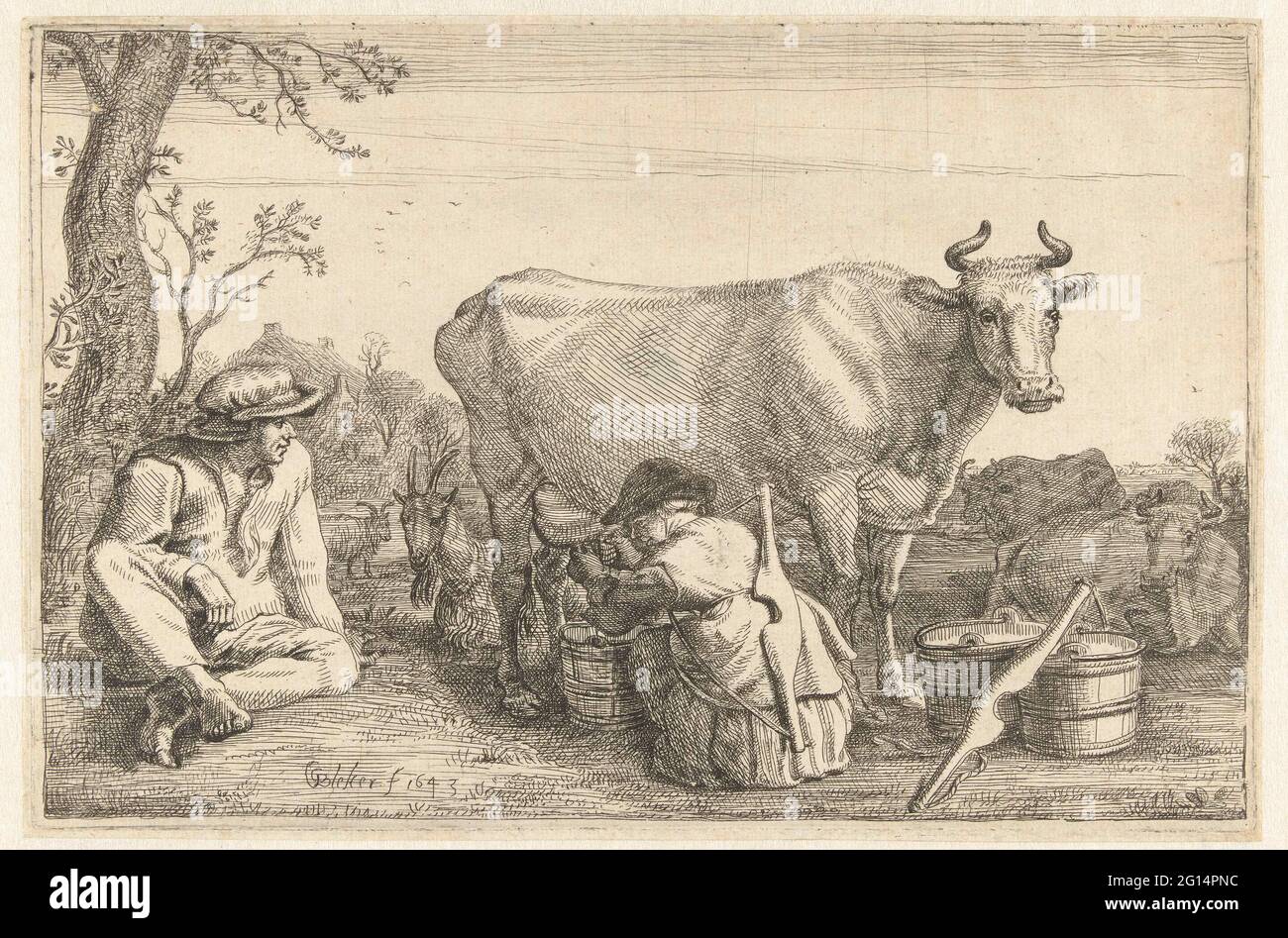 Woman at milking. A shepherdess milking a cow, next to her under a tree ...