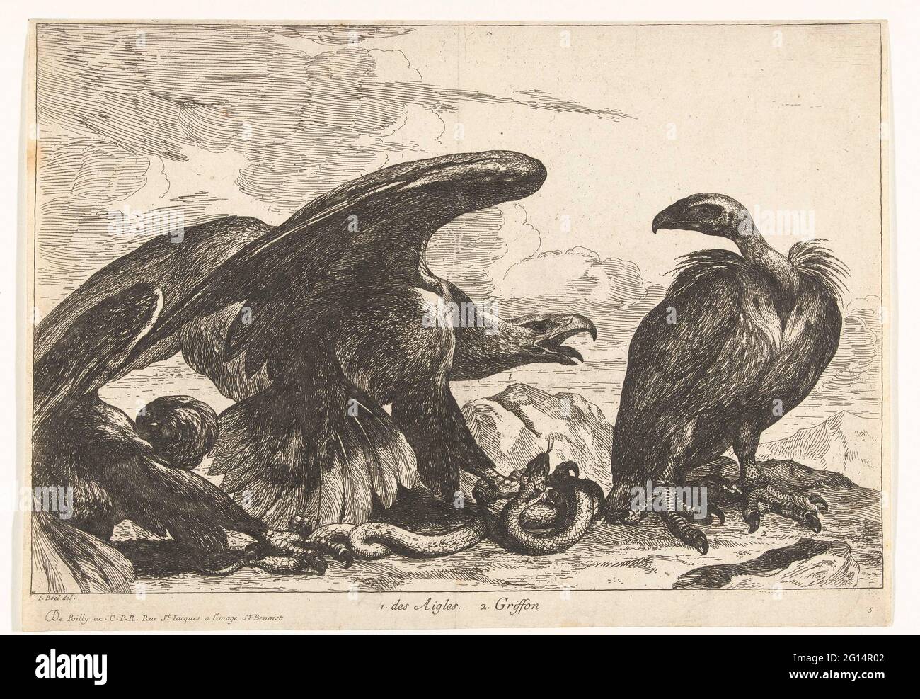 Vulture and an eagle with snake; 1. Des Aigles 2. Griffon; Birds from ...