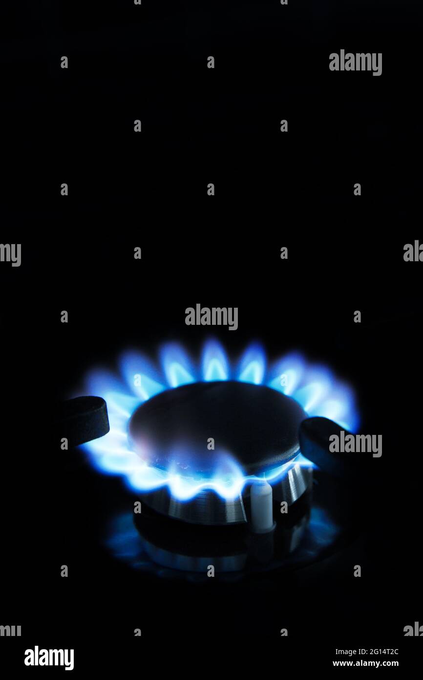 A close up of the blue flame of natural gas on a cooker ring or hob ...