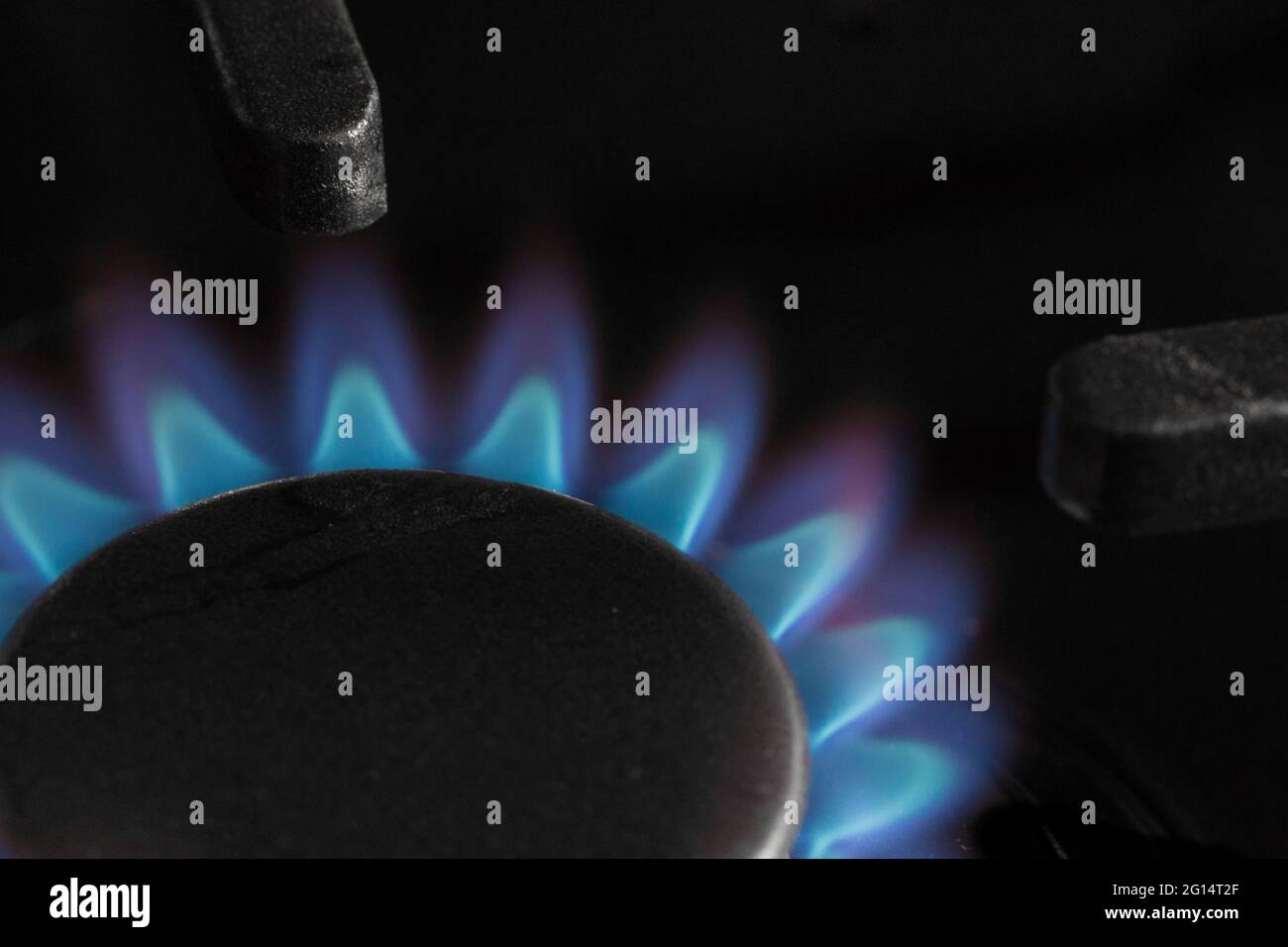 A close up of the blue flame of natural gas on a cooker ring or hob ...