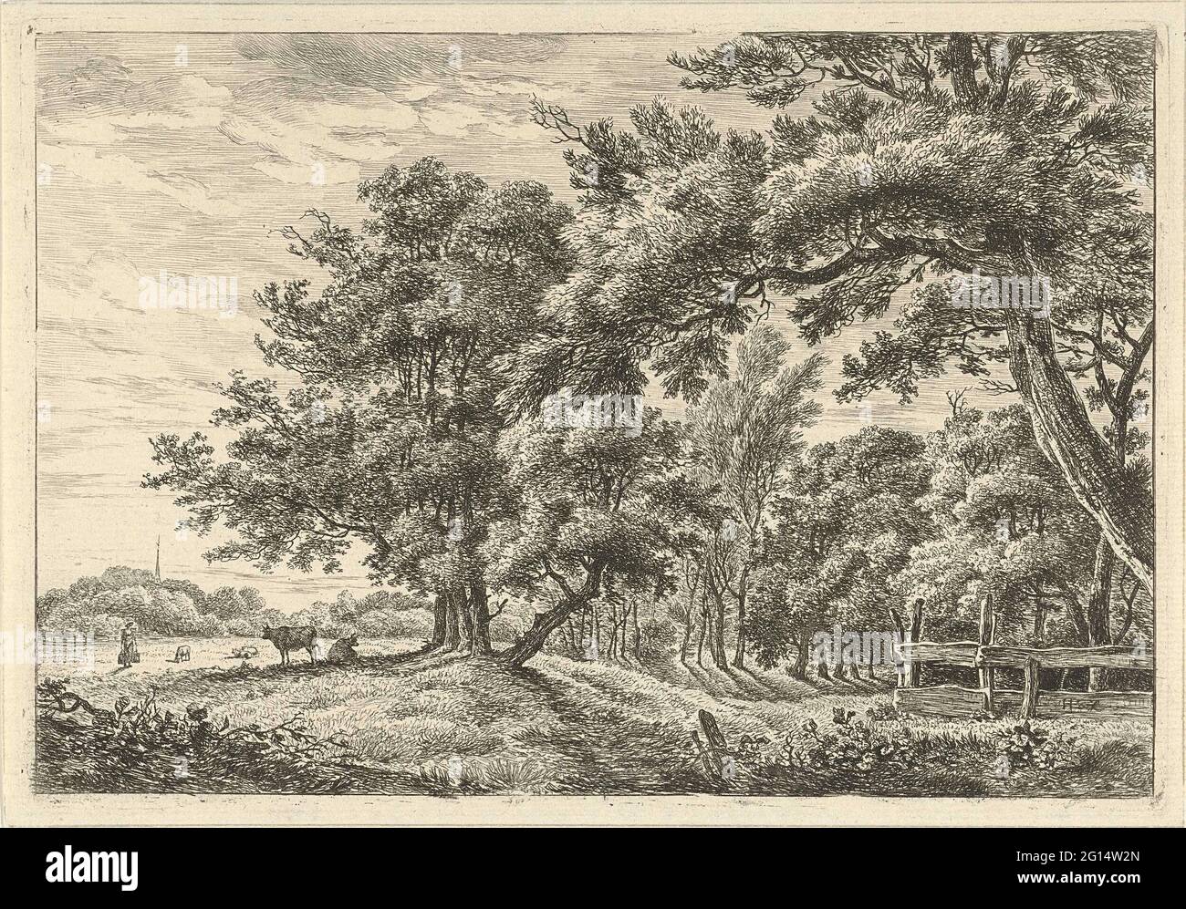 Landscape with two cows in the shade. A landscape with tall trees. In ...