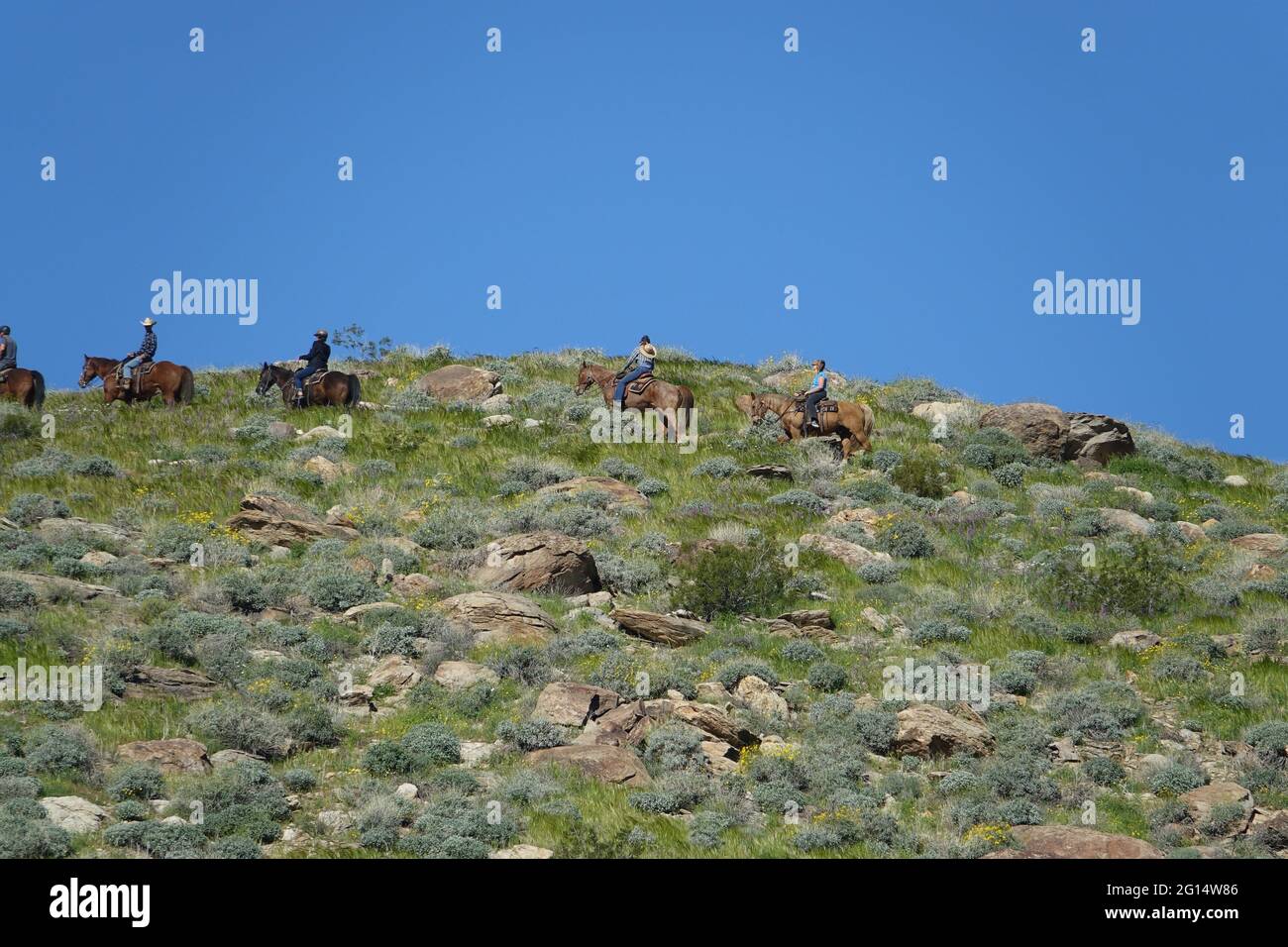 guide leading group of horseback riders into canyon Stock Photo - Alamy