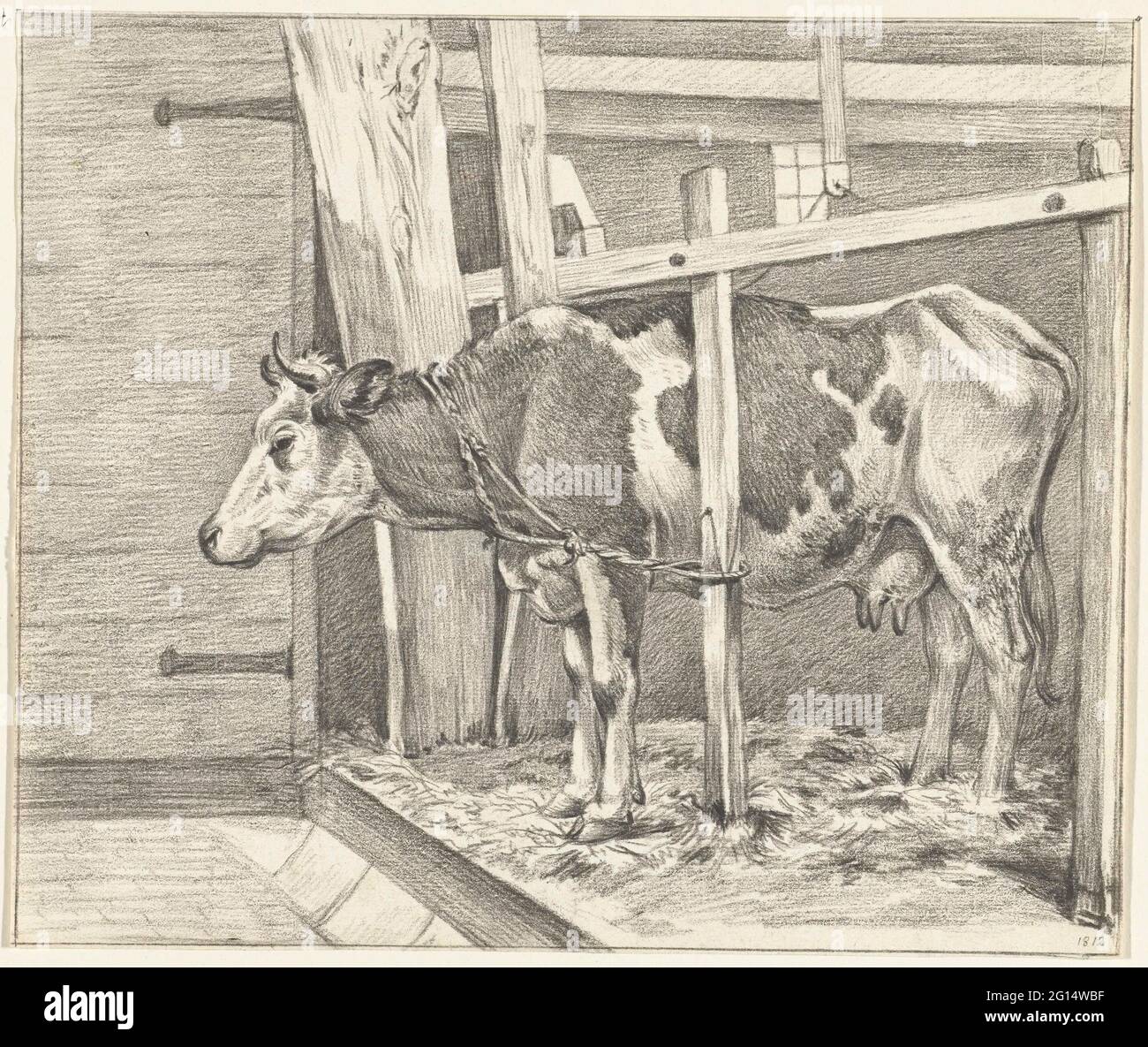 Standing cow in the stable Stock Photo - Alamy