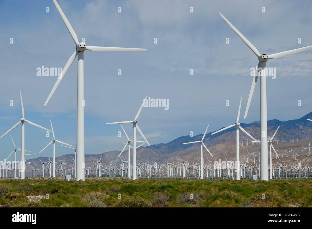 massive wind farm on a hot desert day Stock Photo - Alamy