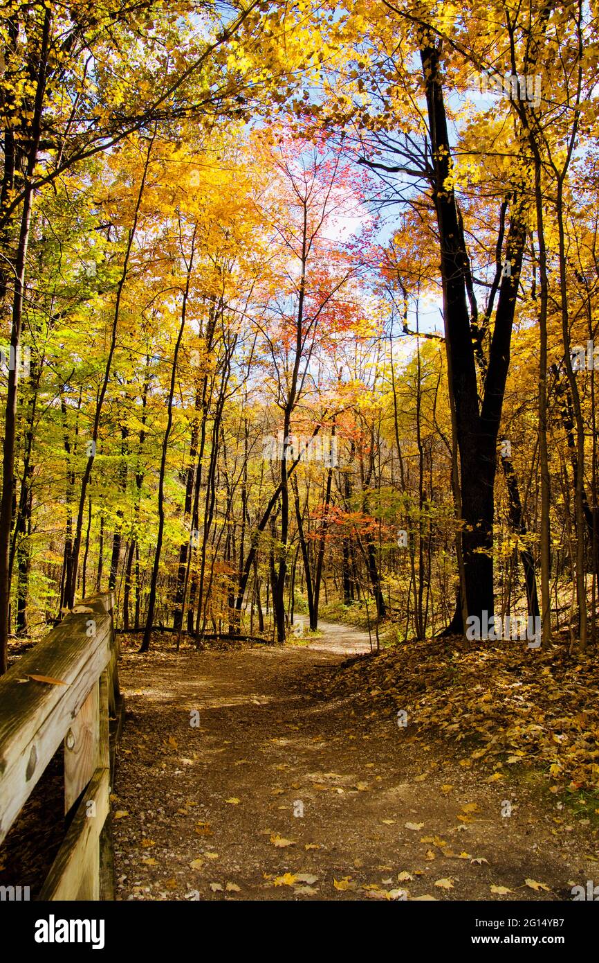 Wander woods hi-res stock photography and images - Alamy