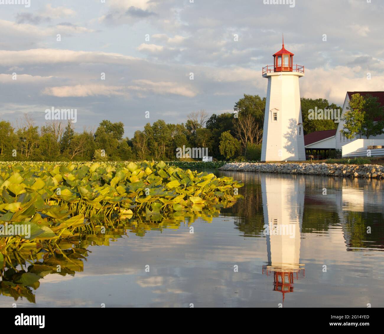 lighthouse on lake with lily pads Stock Photo - Alamy