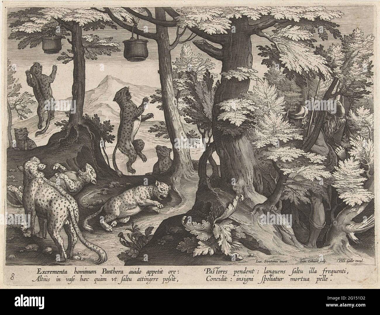 Hunting at leopards with human excrement; Hunting scenes; VENATIONES ...