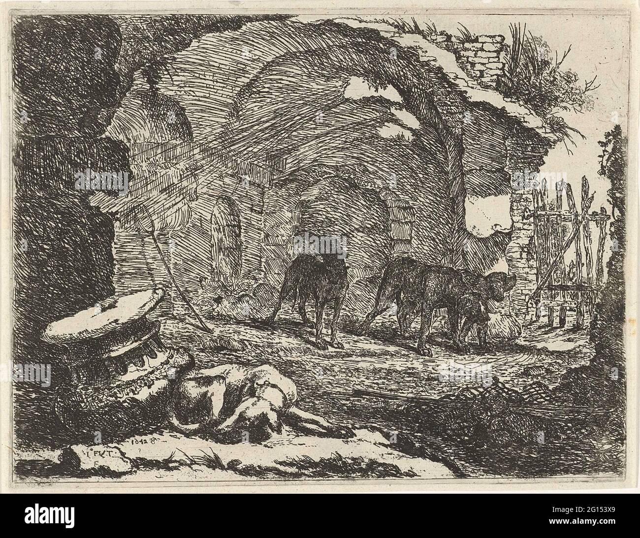 Four dogs in a ruin; Dogs Stock Photo - Alamy