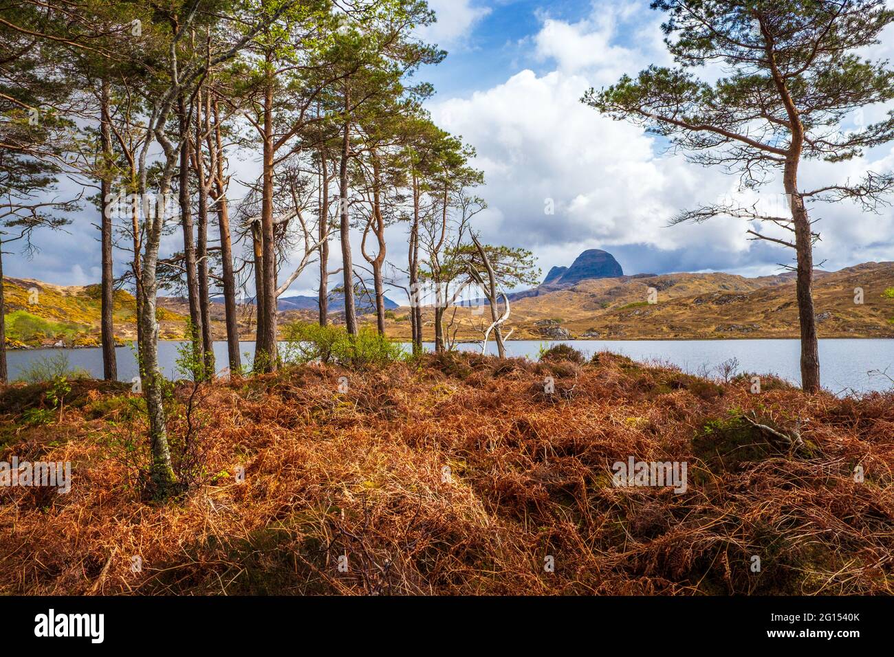 Suiven hi-res stock photography and images - Alamy