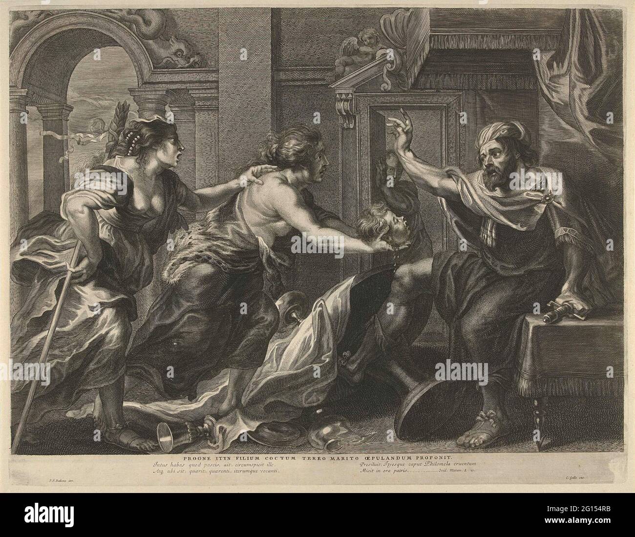 Tereus philomena hi-res stock photography and images - Alamy