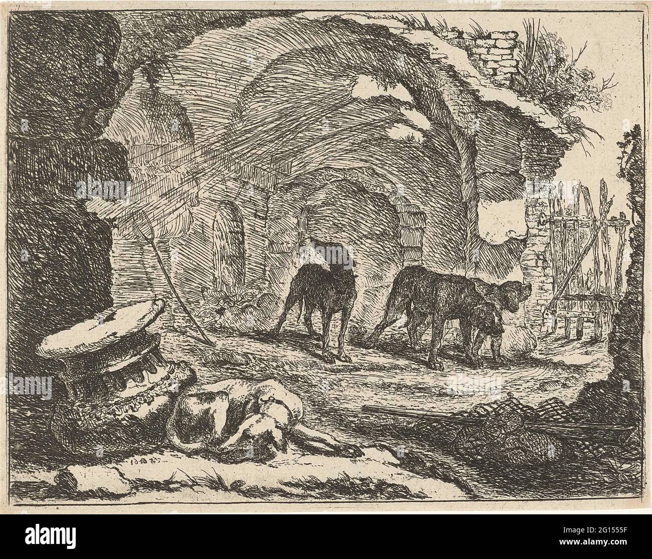 Four dogs in a ruin; Dogs Stock Photo - Alamy