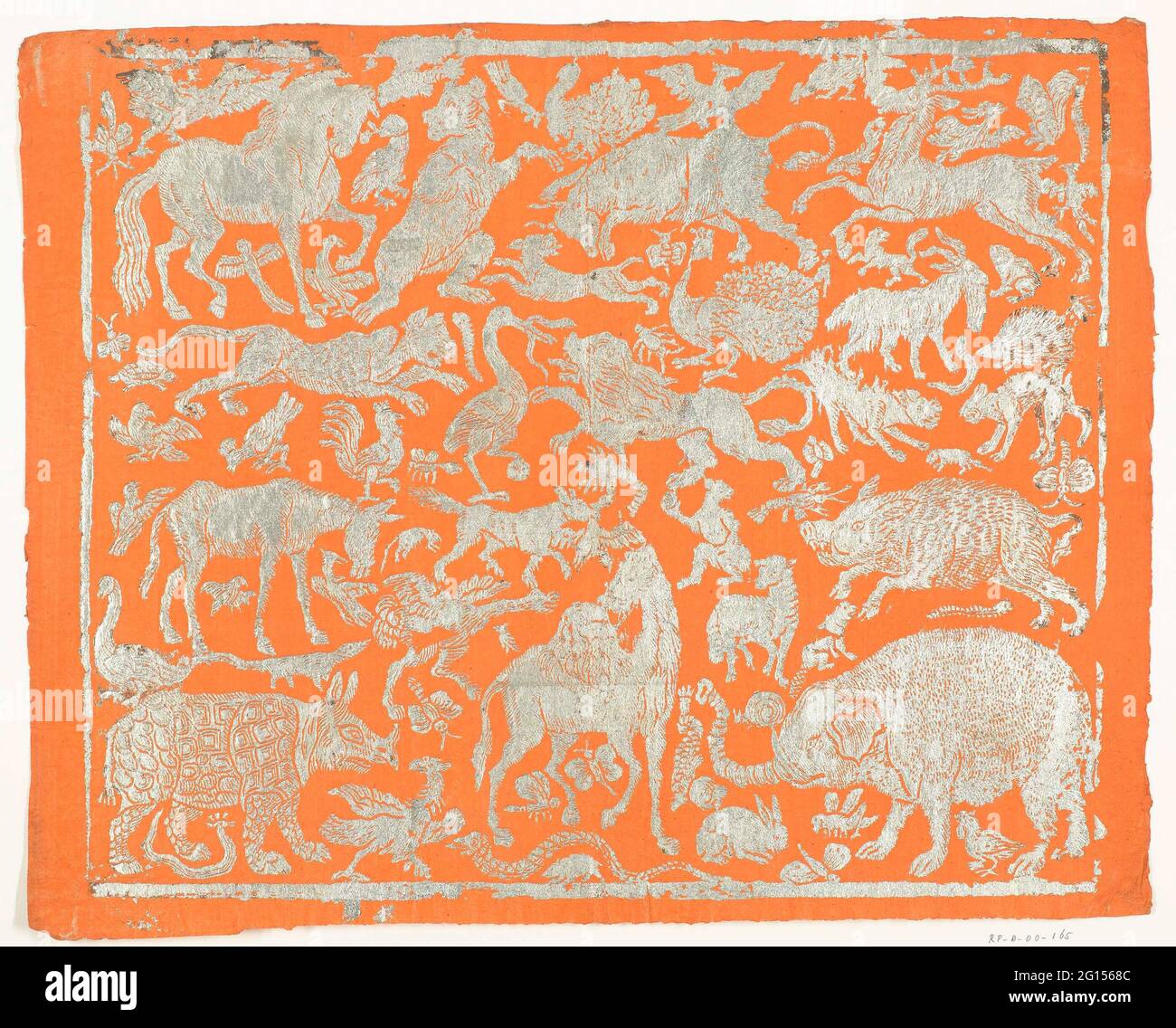 Rhino bottom hi-res stock photography and images - Alamy