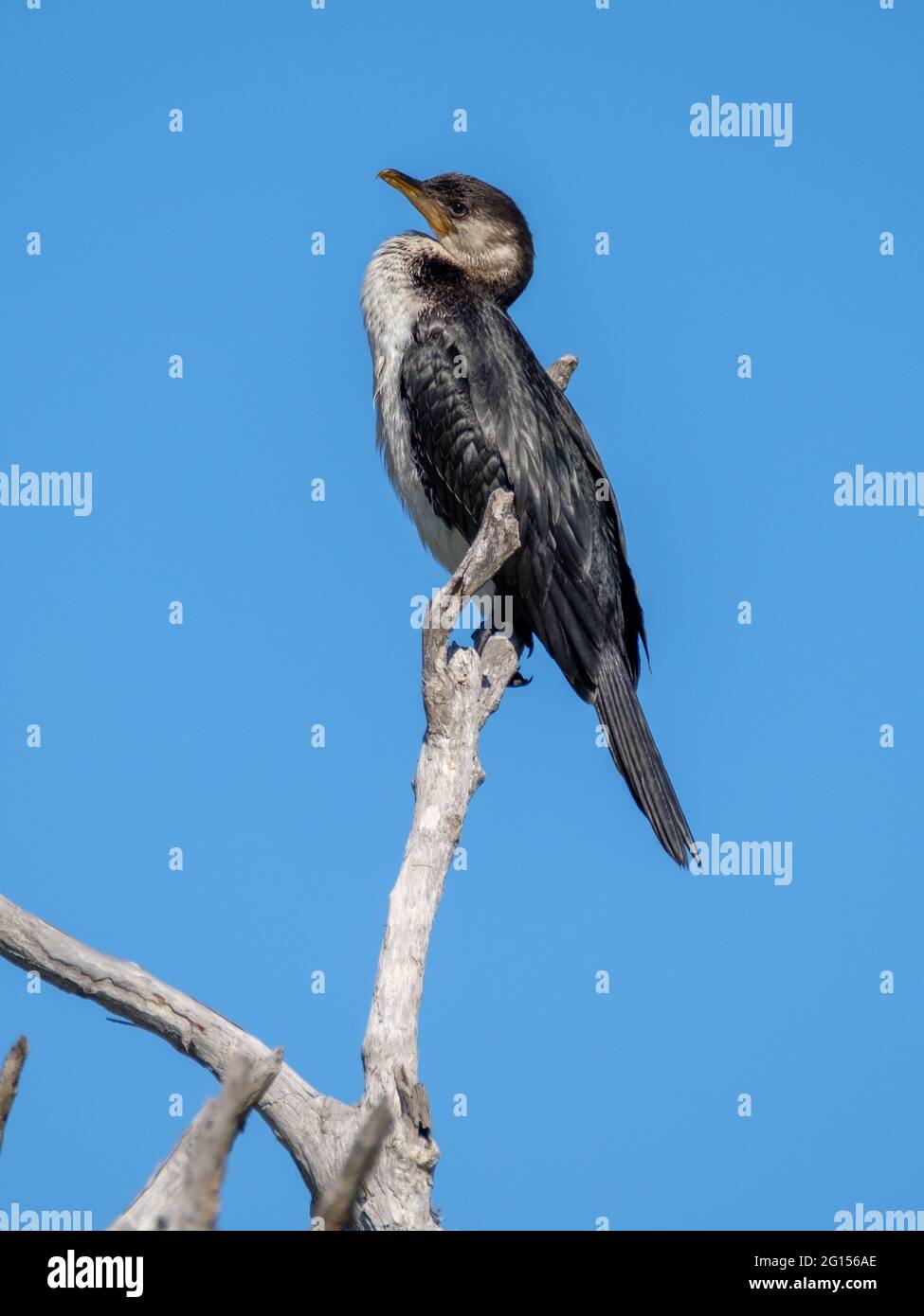 Sandy camp rd wetlands reserve hi-res stock photography and images - Alamy