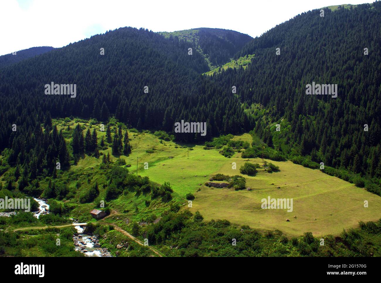 High quality rare and impressive mountain view. With a lot of green ...