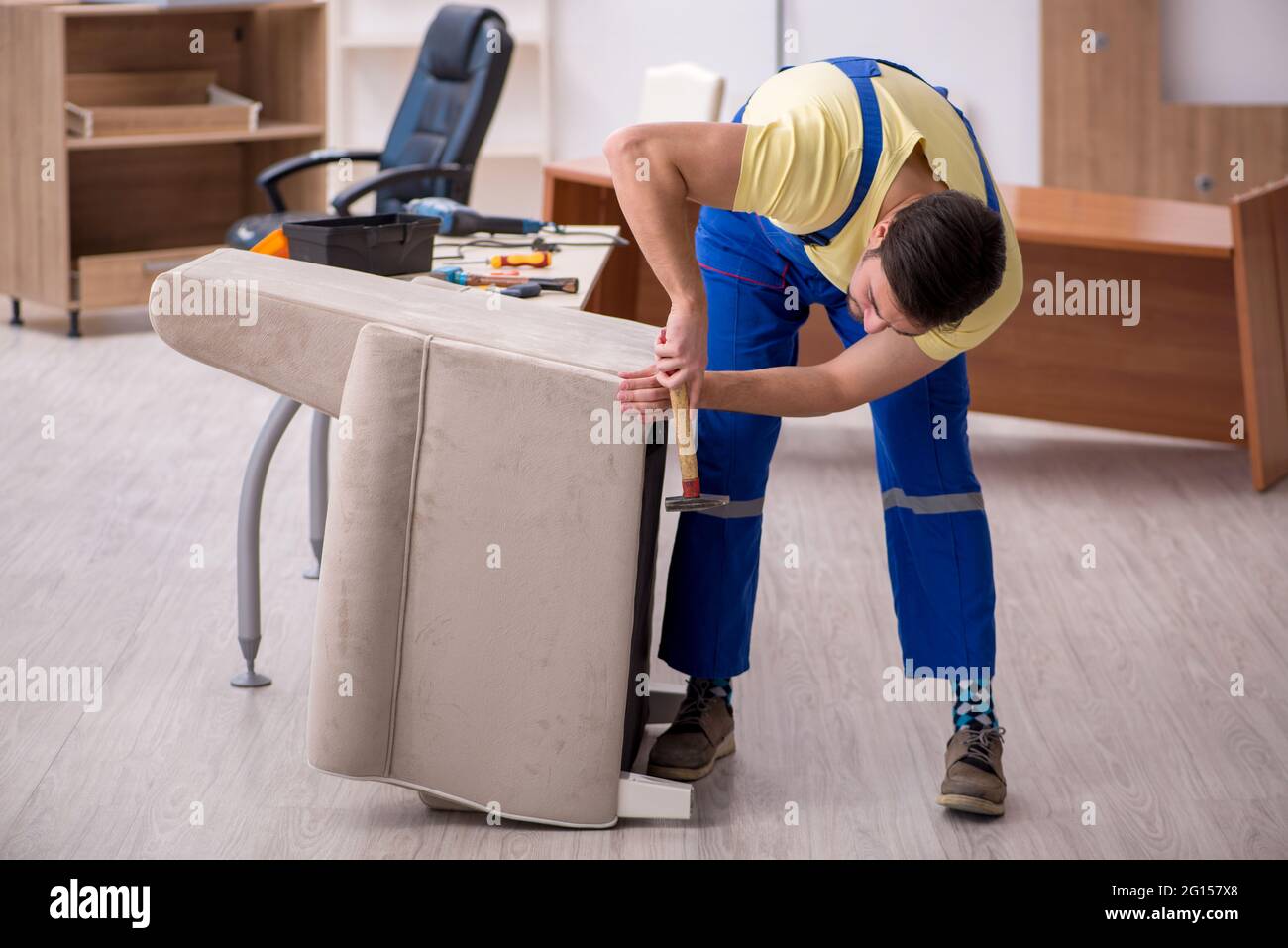 Young carpenter repairing arm-chair in the office Stock Photo - Alamy