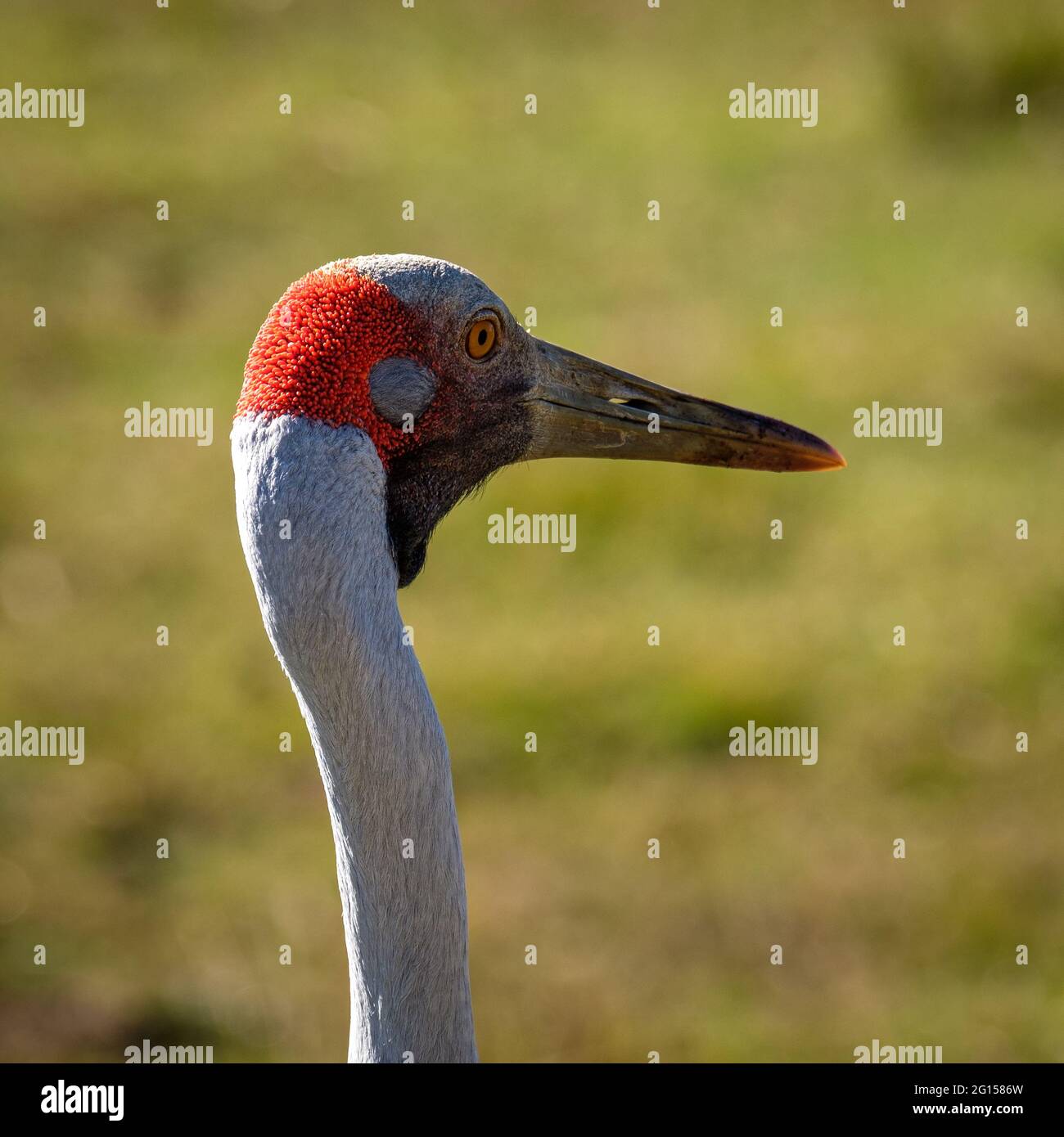 Dohles rocks hi-res stock photography and images - Alamy