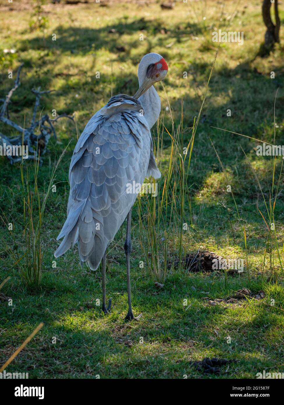 Dohles rocks hi-res stock photography and images - Alamy