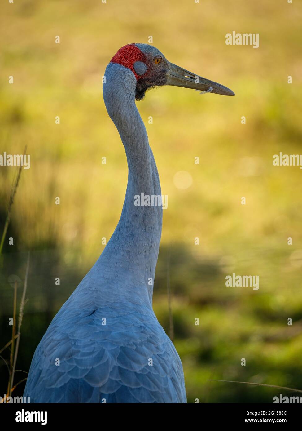 Dohles rocks hi-res stock photography and images - Alamy