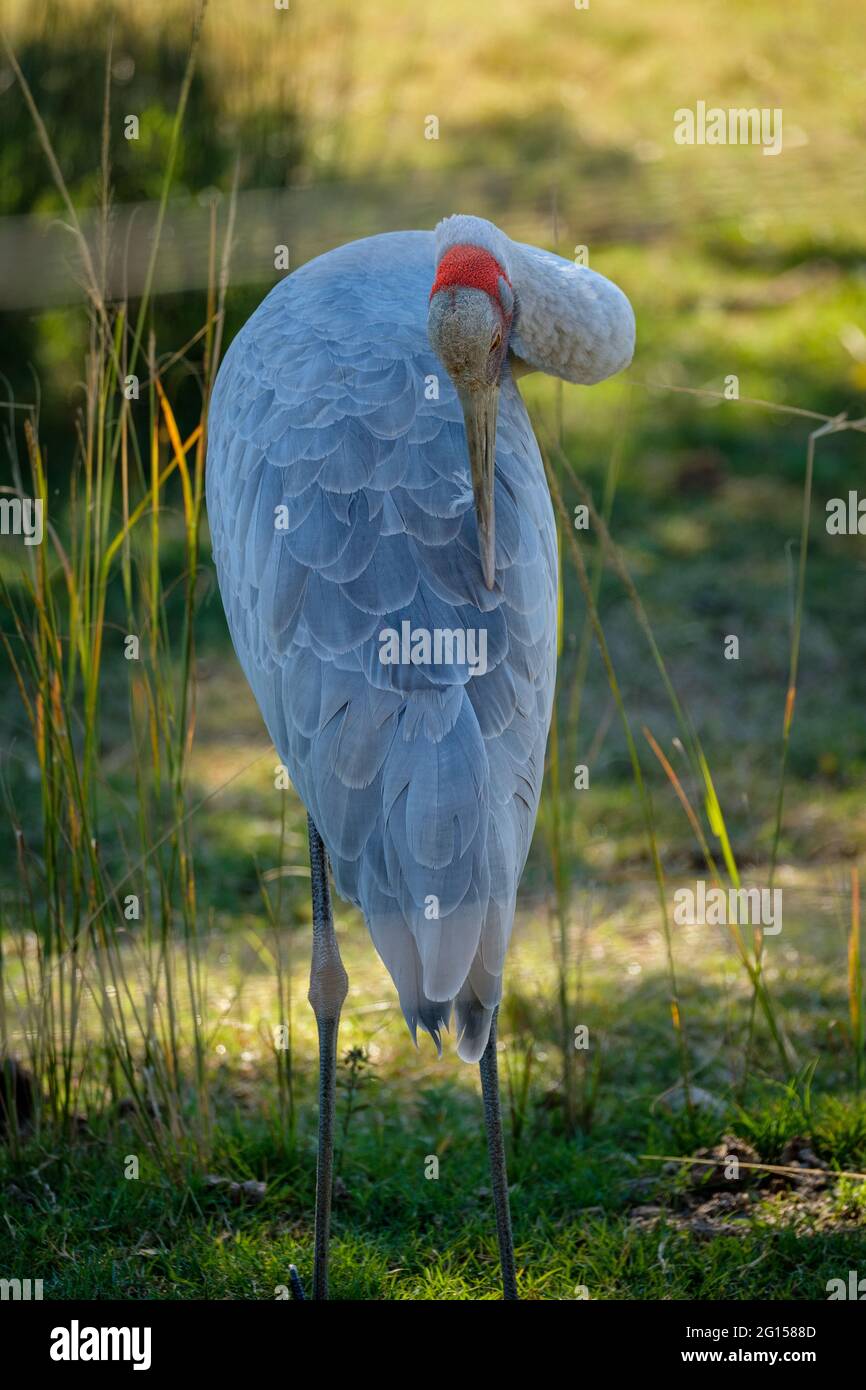 Dohles rocks hi-res stock photography and images - Alamy