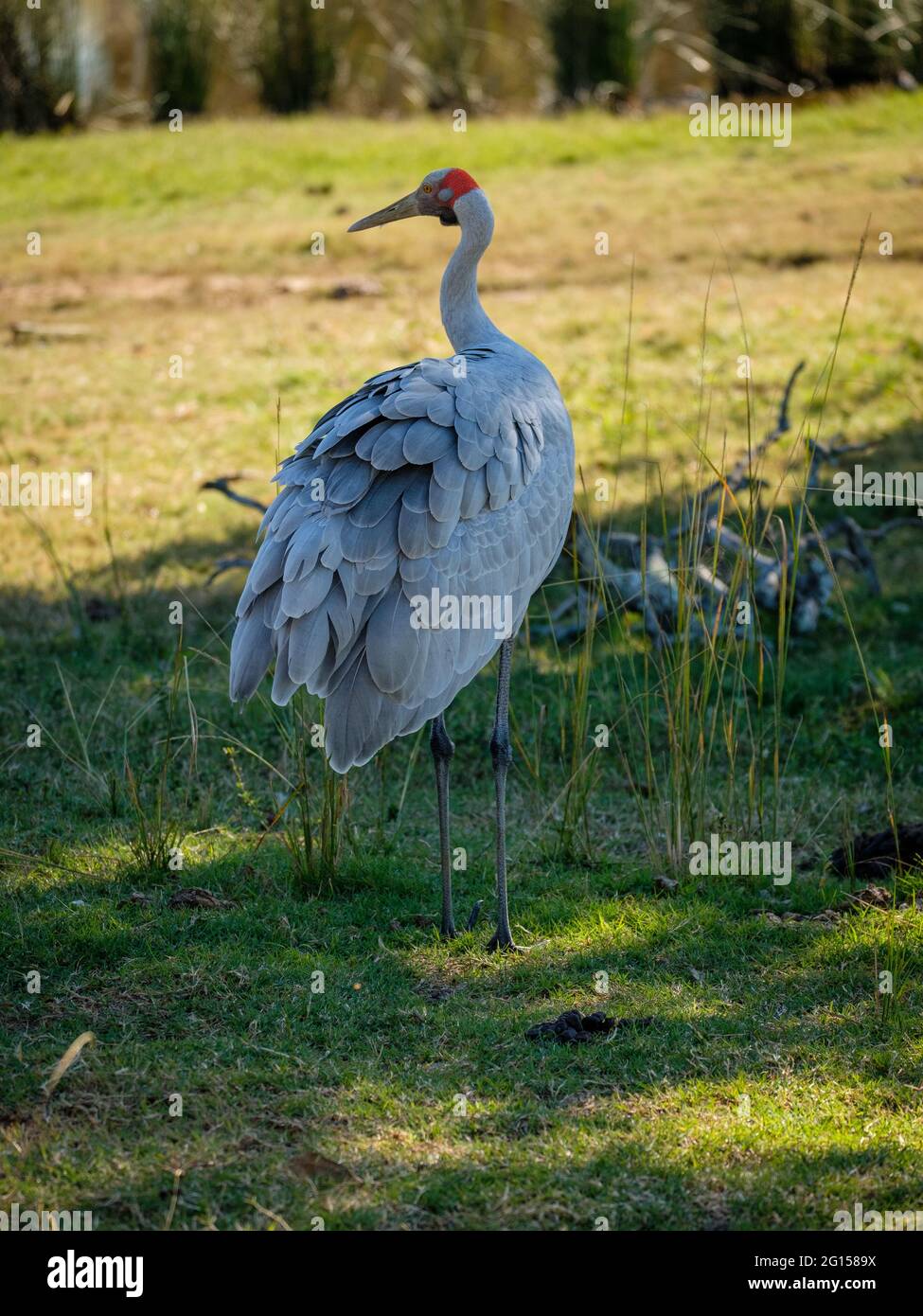 Dohles rocks hi-res stock photography and images - Alamy