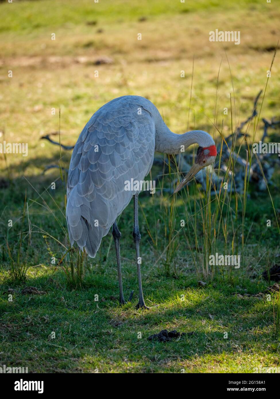 Dohles rocks hi-res stock photography and images - Alamy