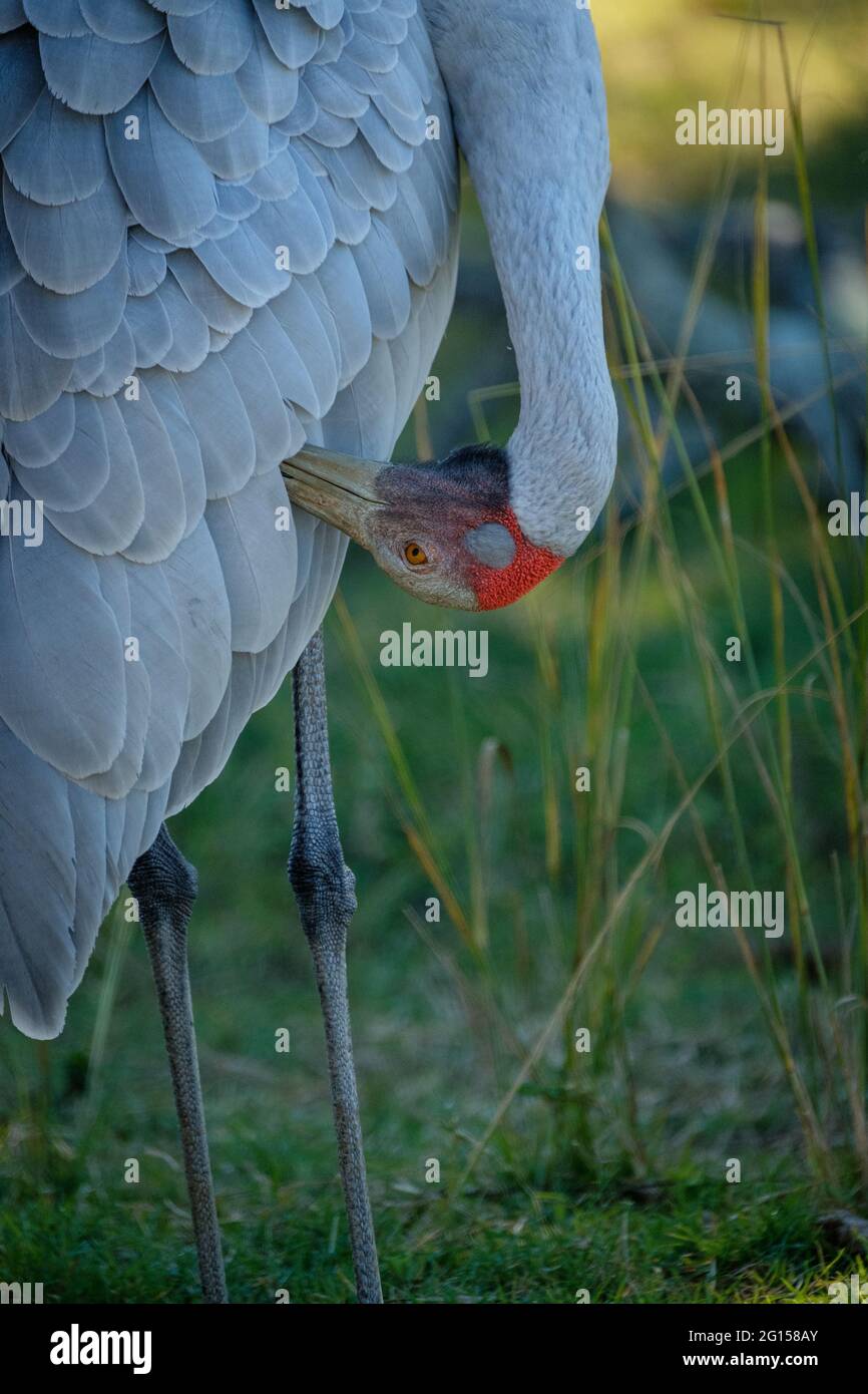Dohles rocks hi-res stock photography and images - Alamy