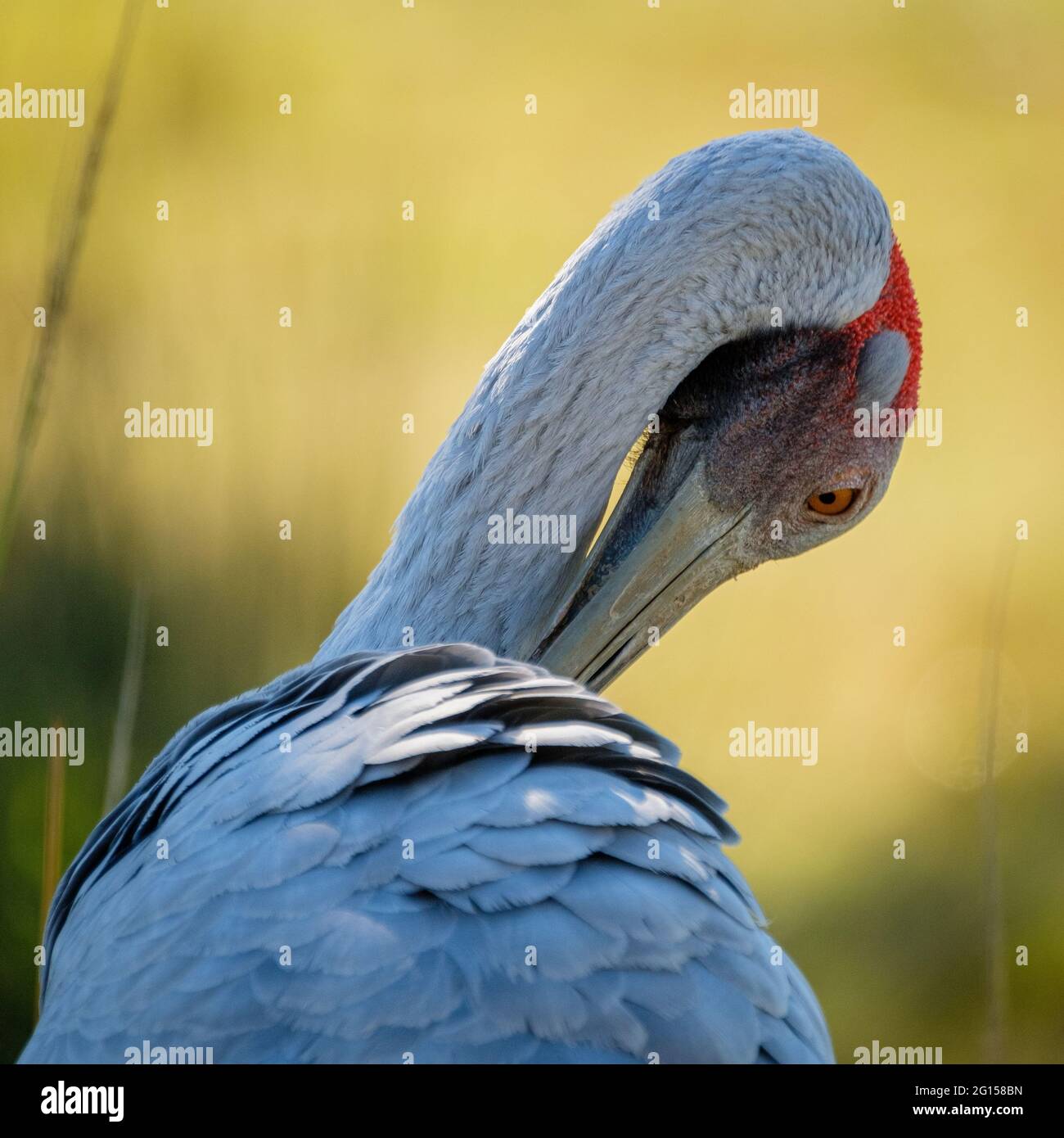 Dohles rocks hi-res stock photography and images - Alamy