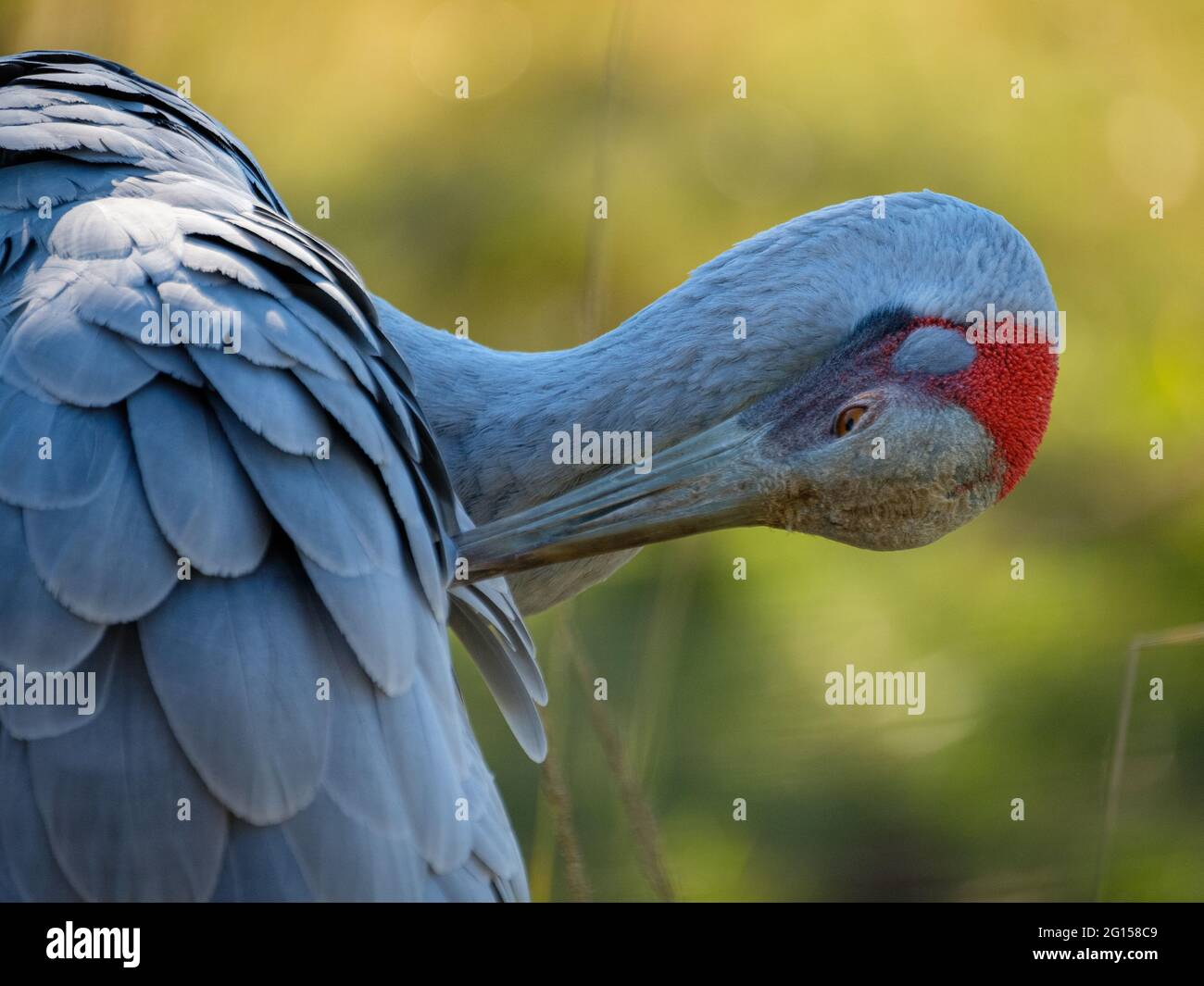 Dohles rocks hi-res stock photography and images - Alamy