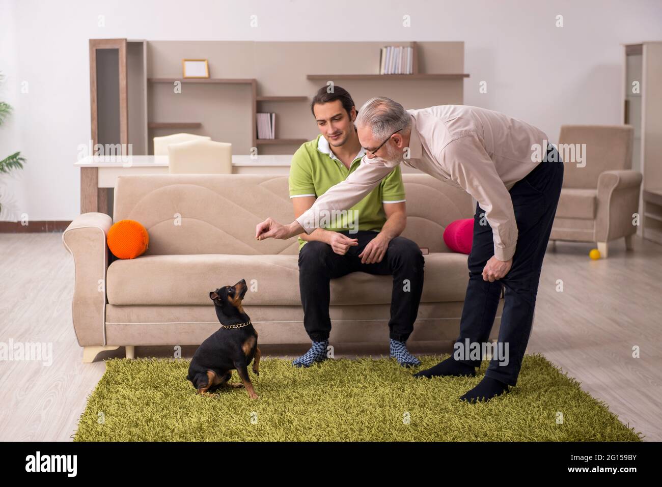 Two men with dog in the room Stock Photo - Alamy