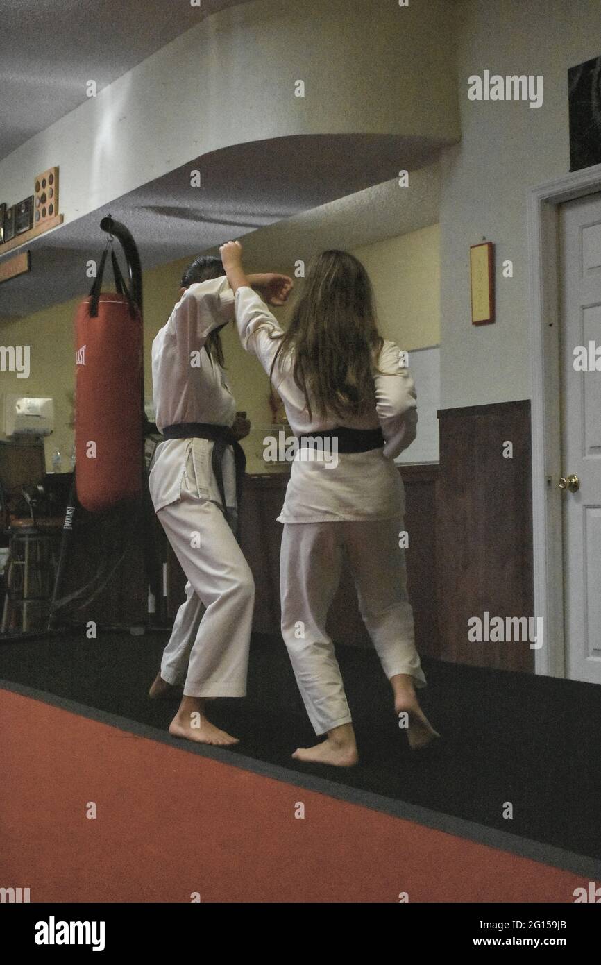 This action photo is of my daughter in her Karate class. Karate is a ...