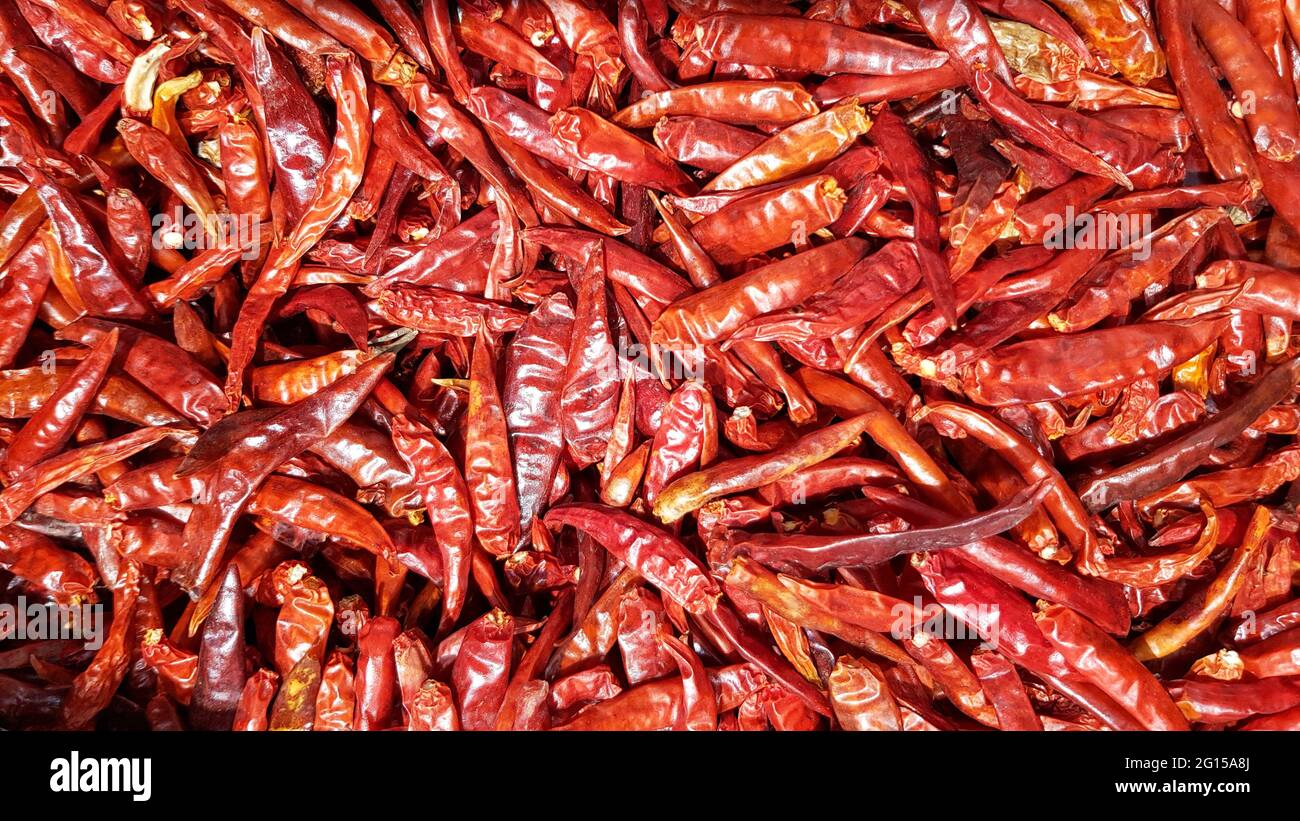A large number of dried red peppers are used as a background. Dried red ...