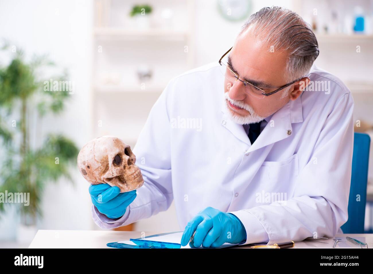 Old male anthropologist working in the lab Stock Photo - Alamy