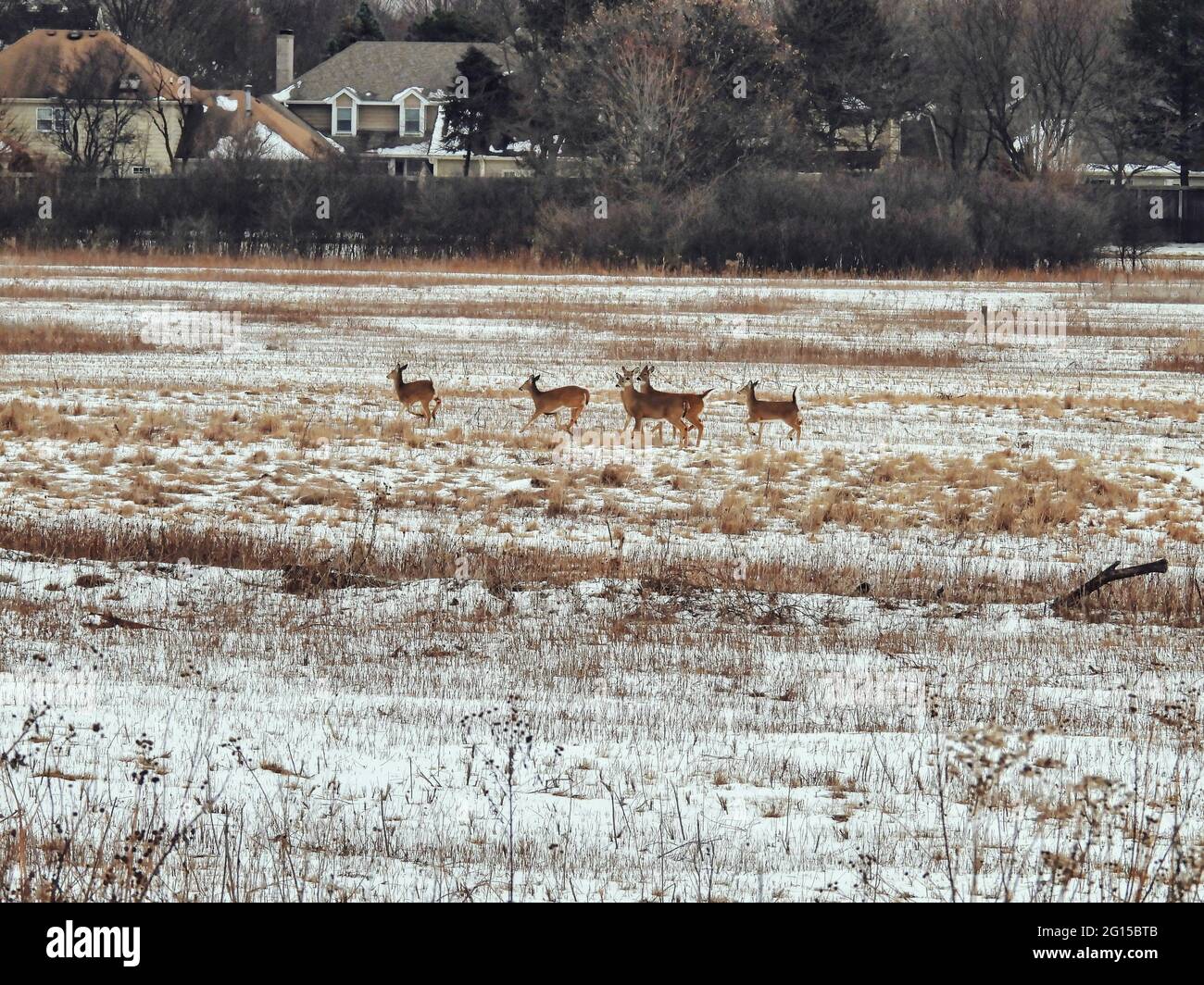 Prairie homestead hi-res stock photography and images - Alamy
